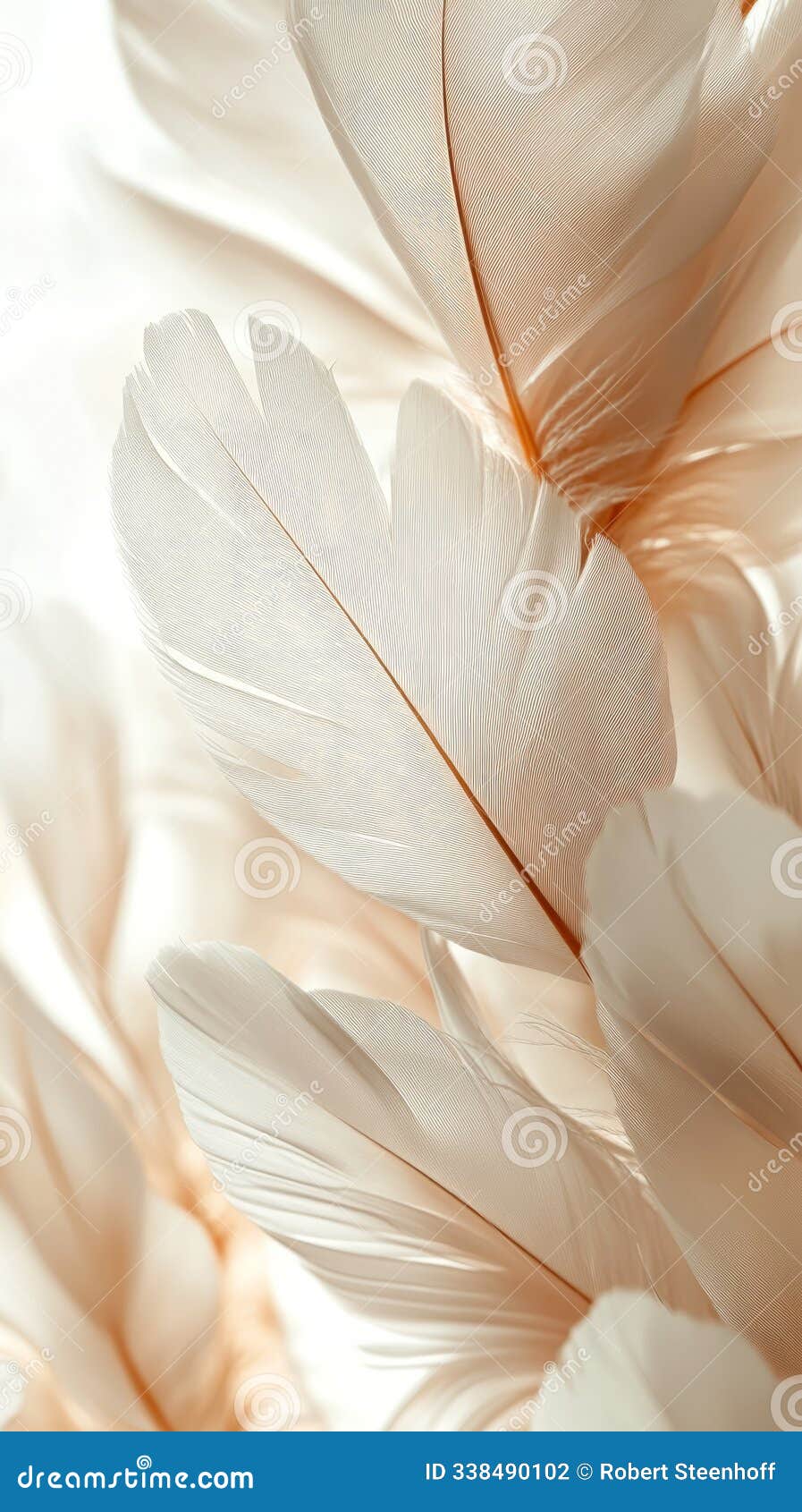 Soft, Delicate Feathers in a Warm, Pastel Color Palette. Stock ...