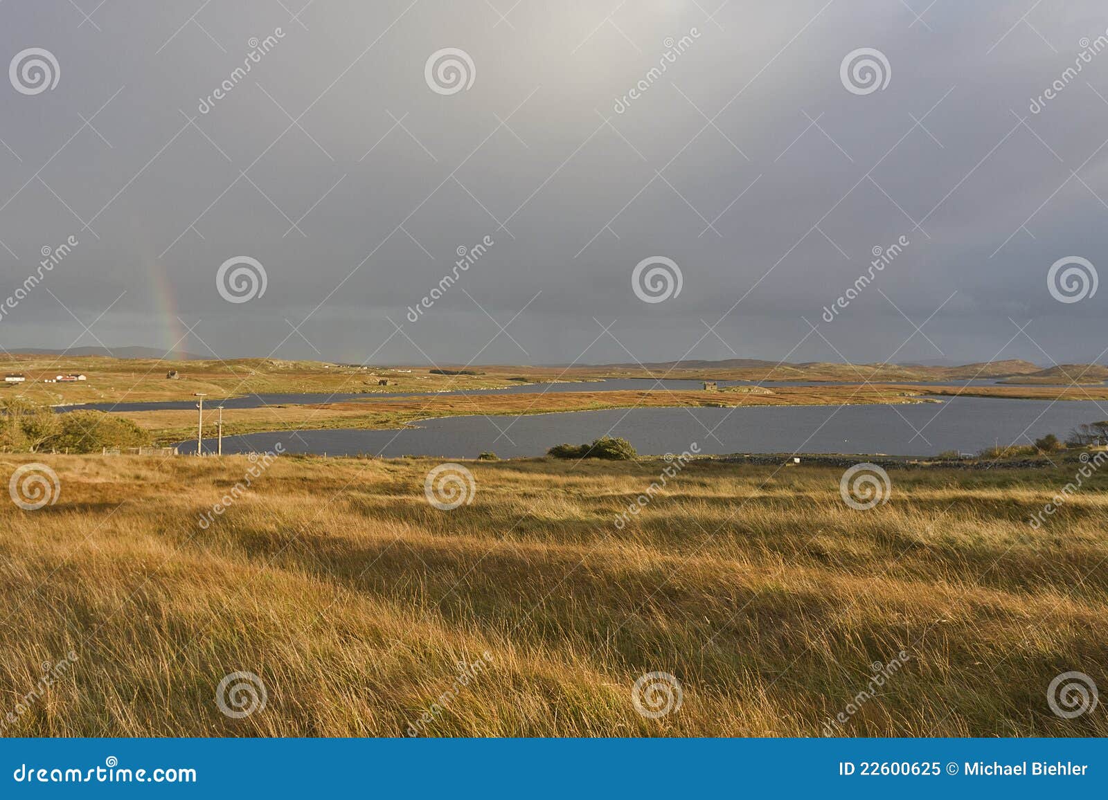 Soft Evening Scene in Scottish Highlands Stock Image - Image of ...