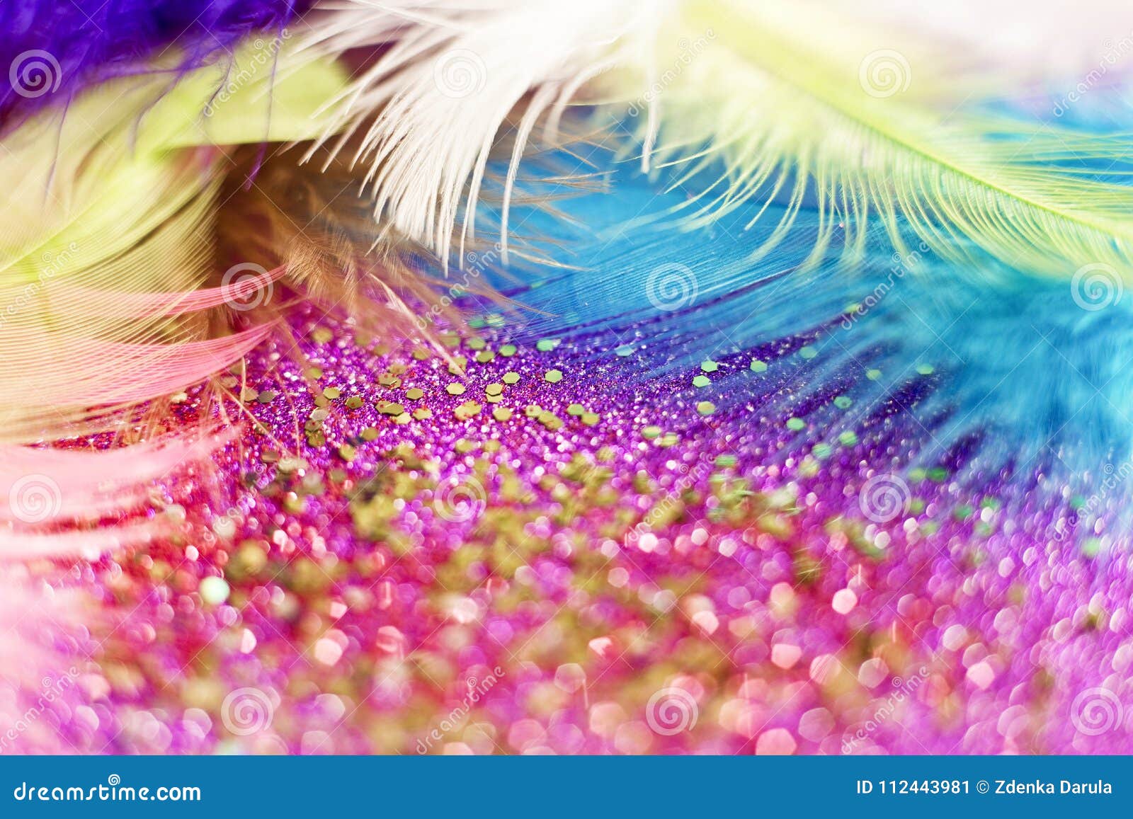 Macro Shot of Feather and Glitter Stock Image - Image of decoration ...
