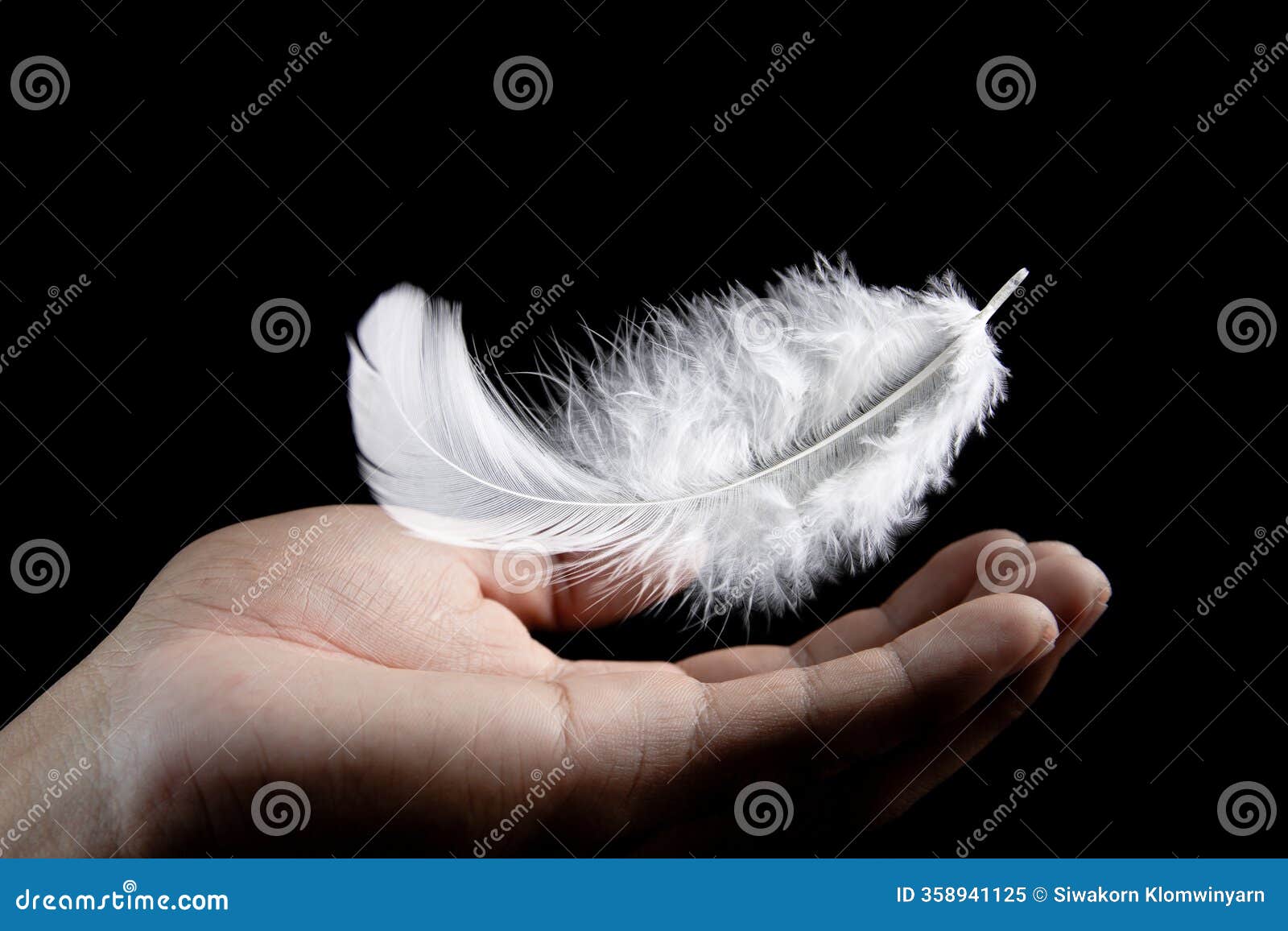 Soft Feathers Falling on Hands. Fluffy Downy, Feather Floating on Black ...