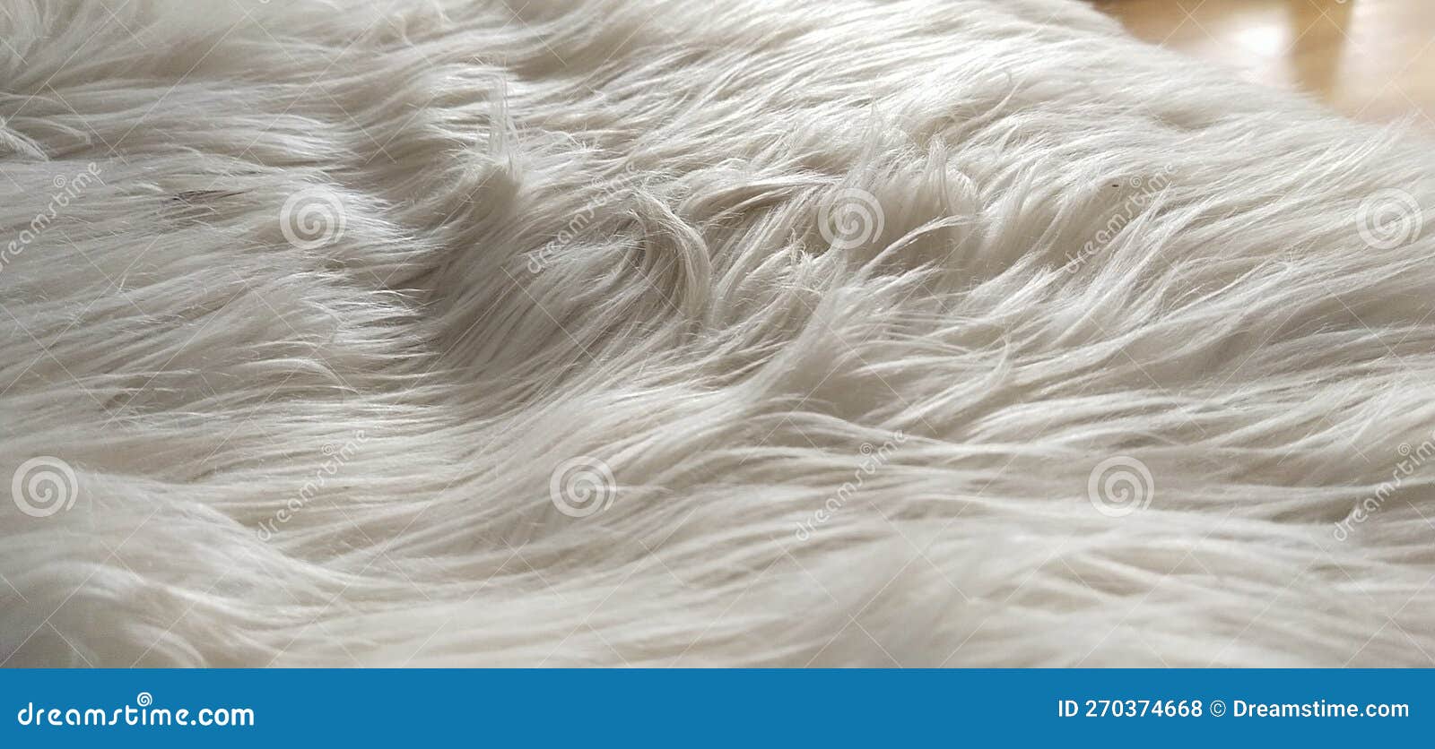 Soft Feathers To Make Your Rooms Look Nicer Stock Photo - Image of look ...