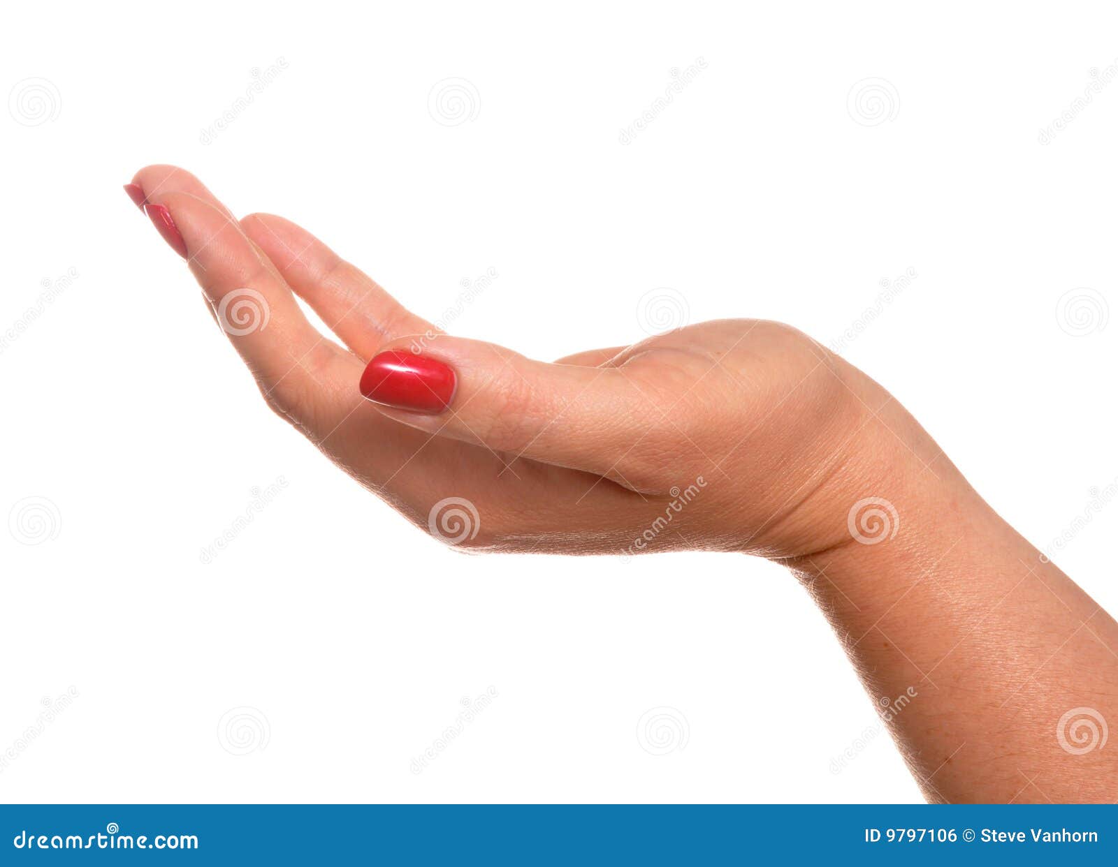 Soft female hand stock photo. Image of elegant, elegance - 9797106