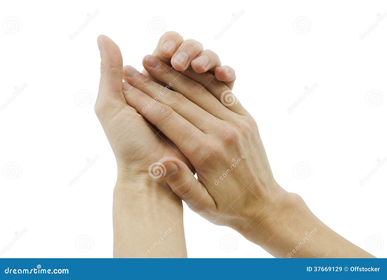 Soft female hands stock image. Image of fingernail, healthcare - 37669129