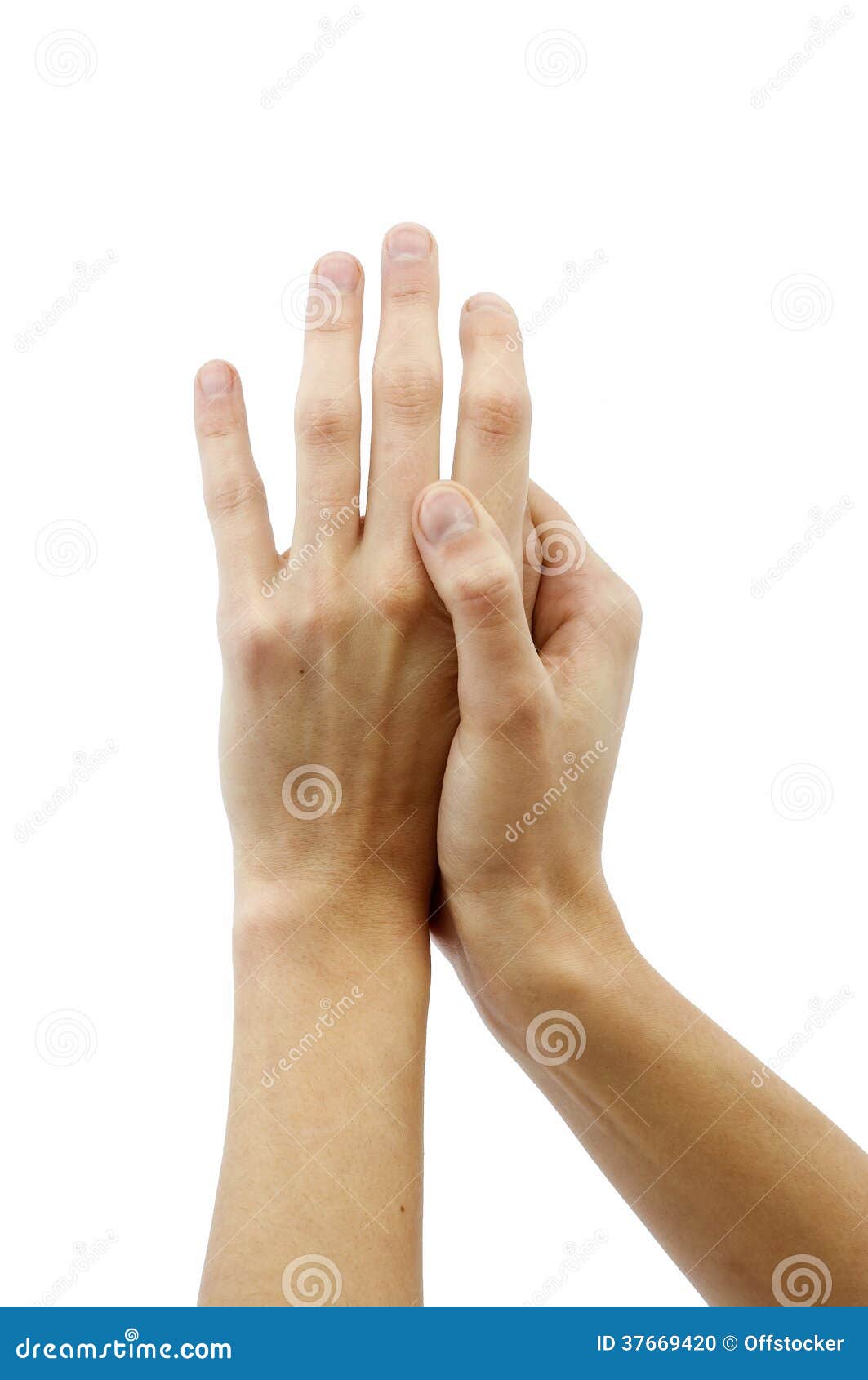 Soft female hands stock photo. Image of female, sensuality - 37669420