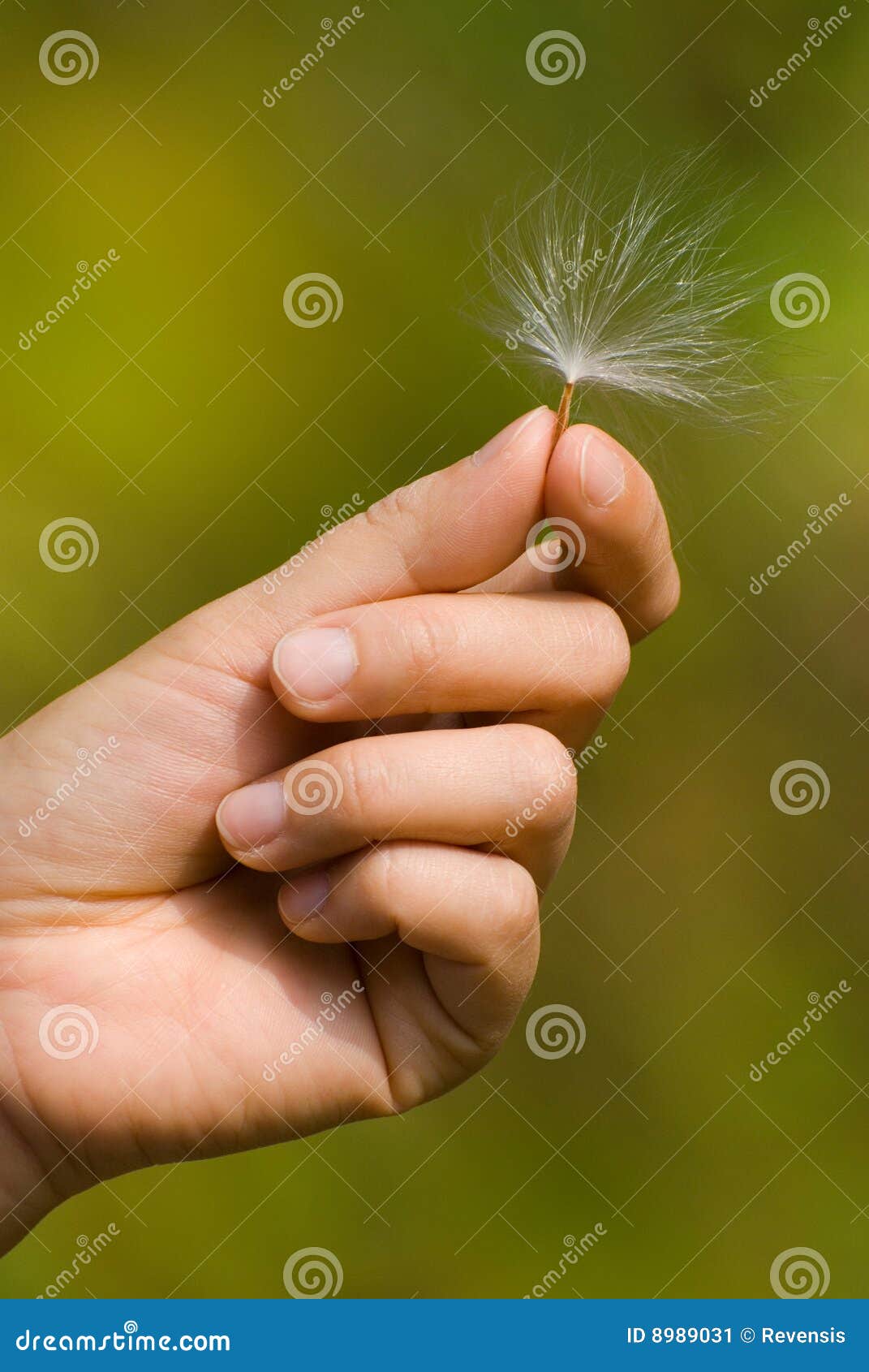 834 Fire Evolution Stock Photos - Free & Royalty-Free Stock Photos from ...