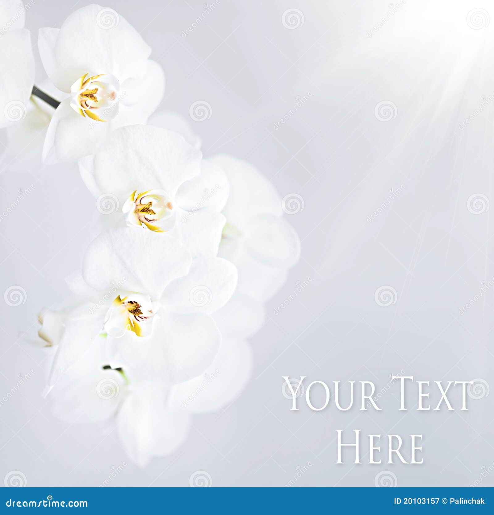 Soft Floral Background Blurs As A Design Resource Royalty-Free Stock ...
