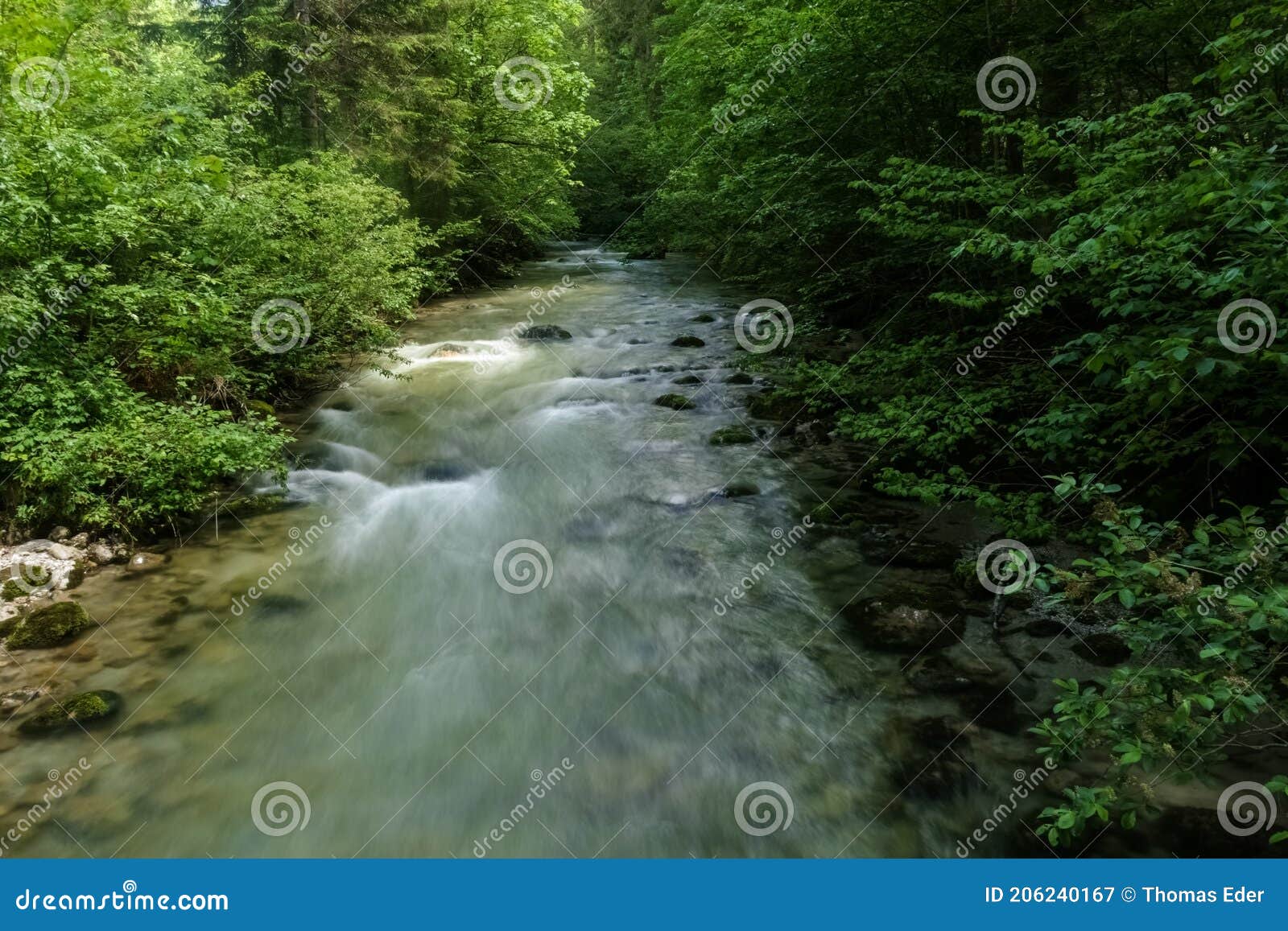 Soft Flowing Brook in a Forest while Hiking Stock Image - Image of ...