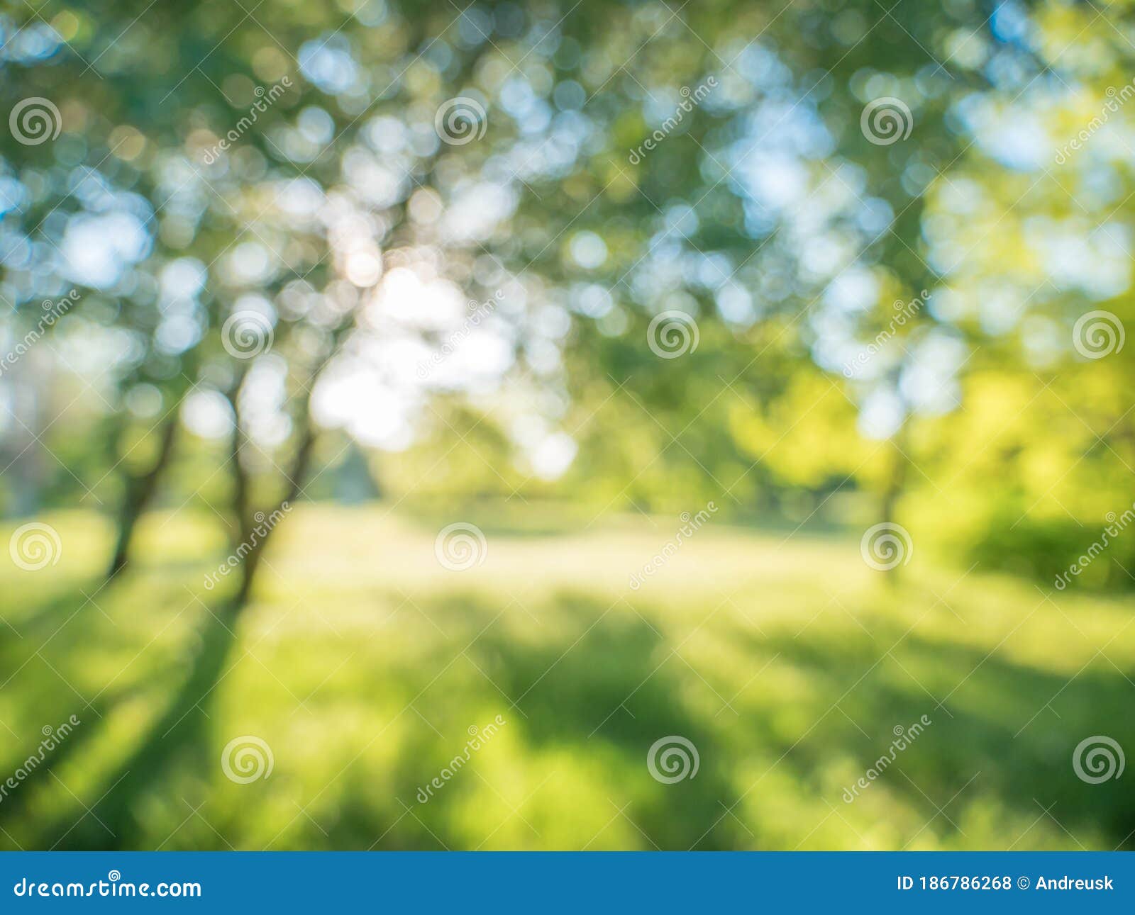 Soft Focus Blurred Abstract Background Tree and Grass in Spring Park ...