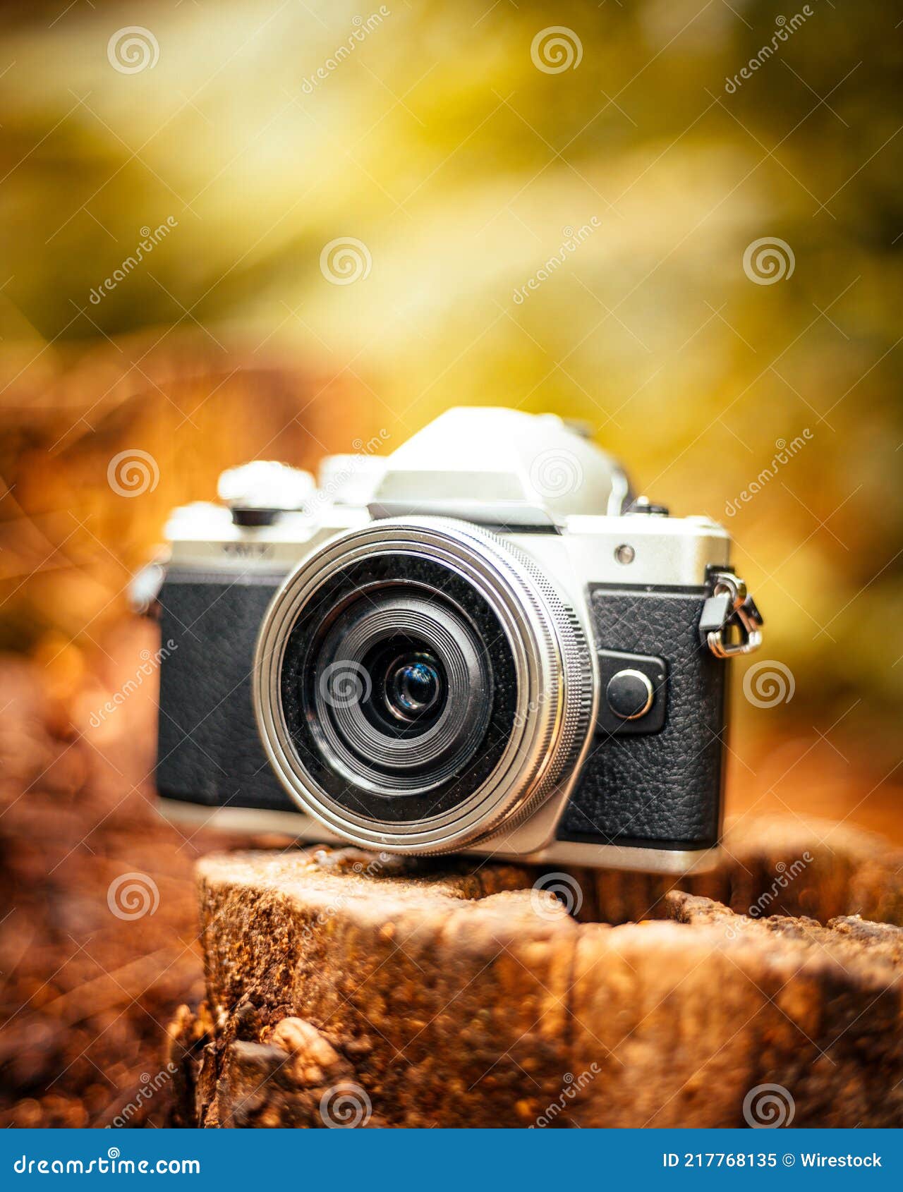 Soft Focus of a Camera on a Log - Photography Concept Stock Image ...