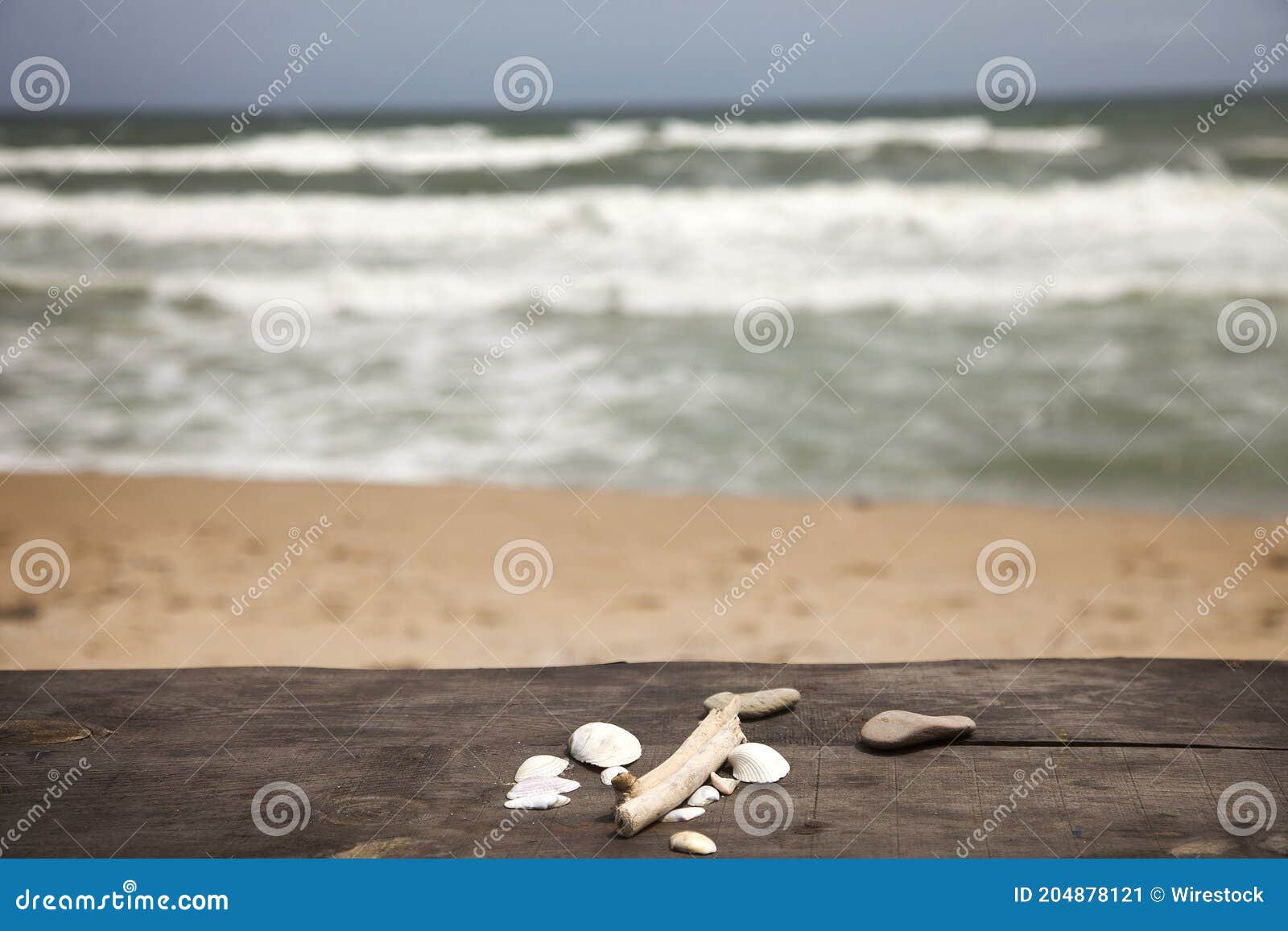 Soft Focus of a Collection of Seashells on a Wooden Surface at Shore ...