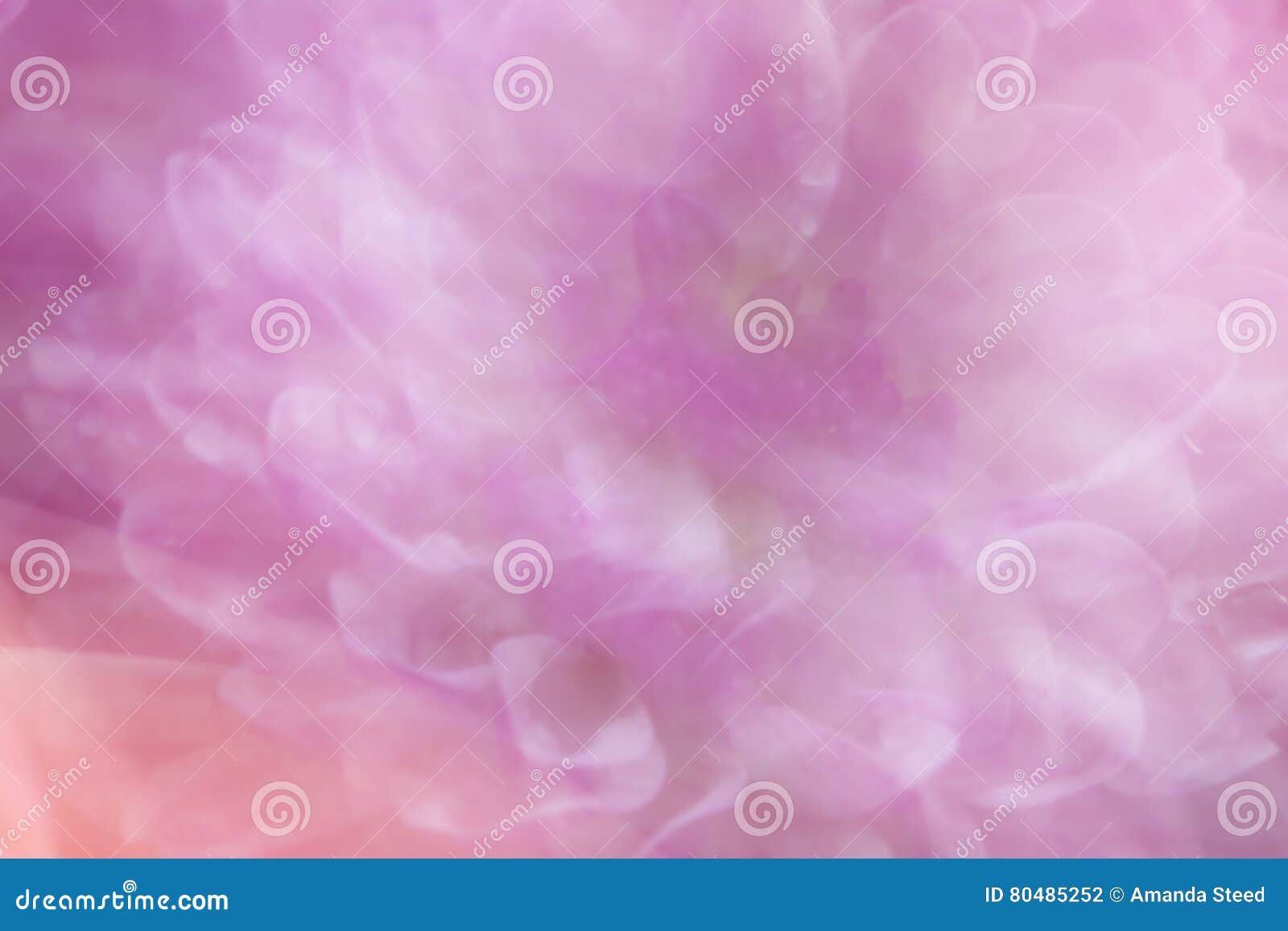 Soft Focus Daisy Background Stock Photo - Image of summer, daisy: 80485252