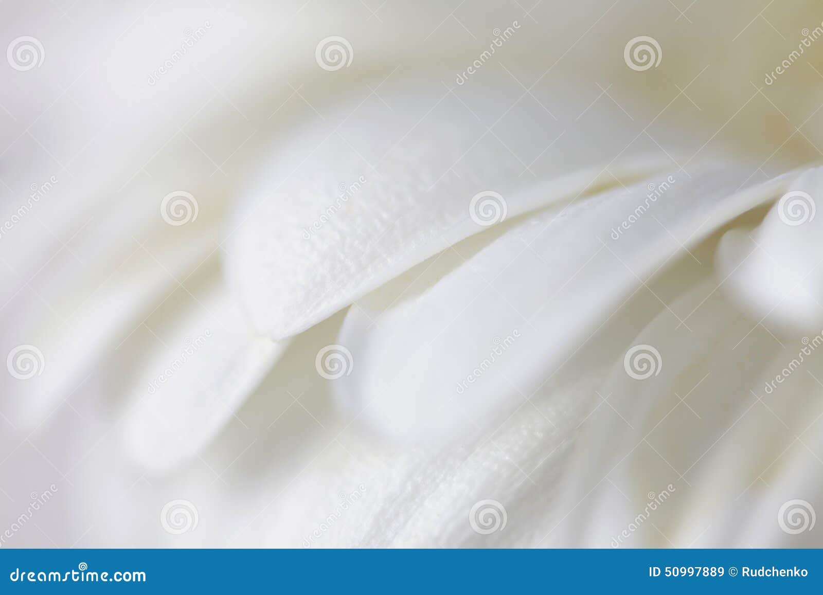 Soft Focus Flower Background . Made with Lens-bab Stock Image - Image ...