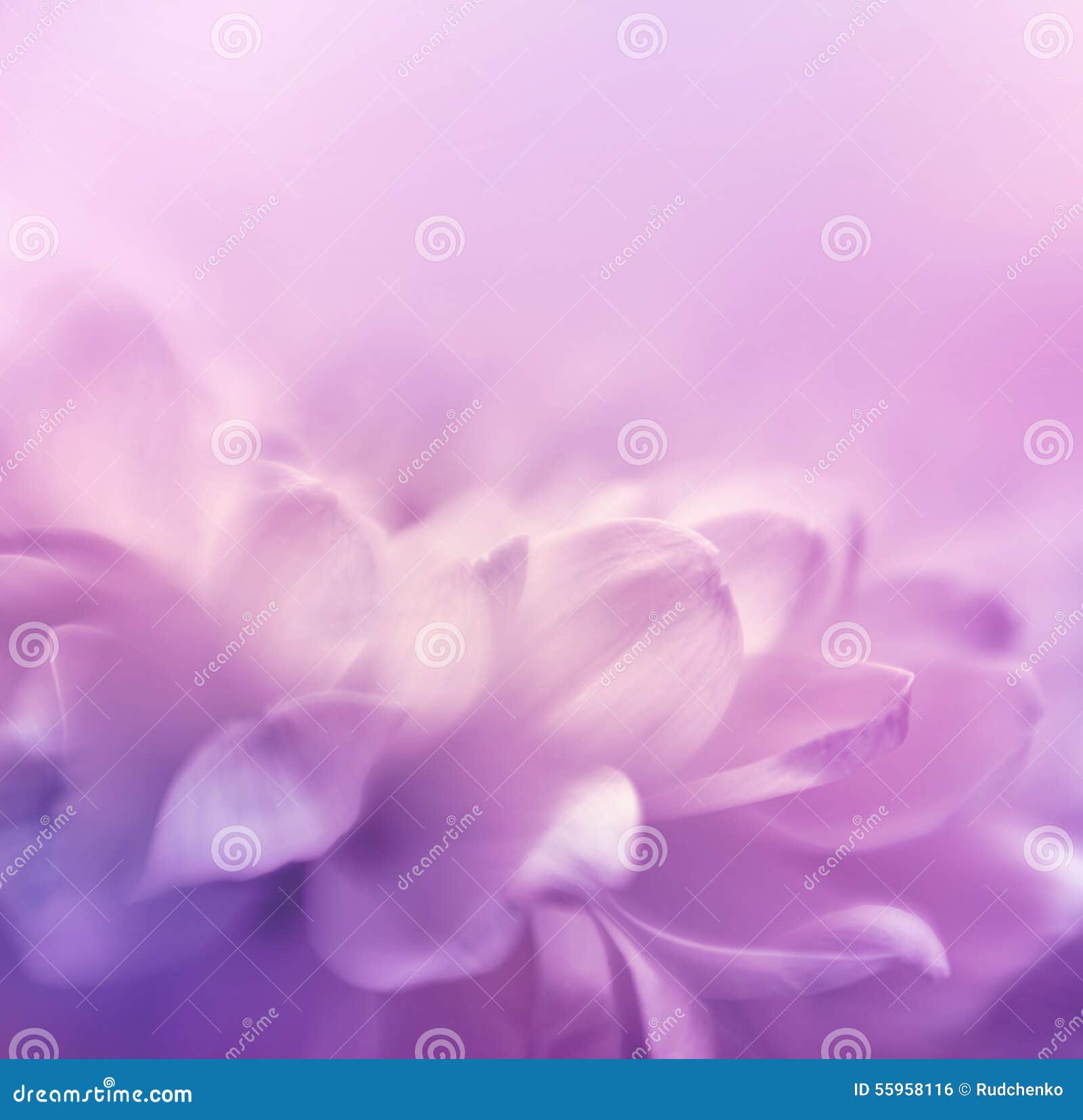 Soft Focus Flower Background. Made with Lensbaby Stock Photo - Image of ...