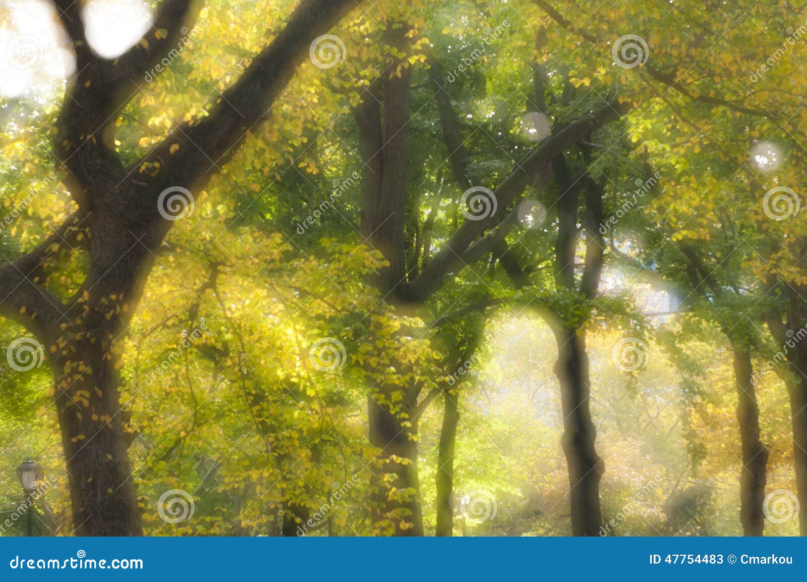 48,907 Soft Trees Stock Photos - Free & Royalty-Free Stock Photos from ...
