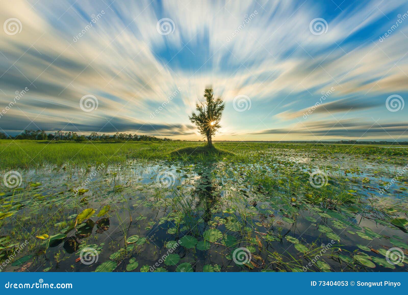 Soft Focus Landscape Background Reflection on the Lake Stock Image ...