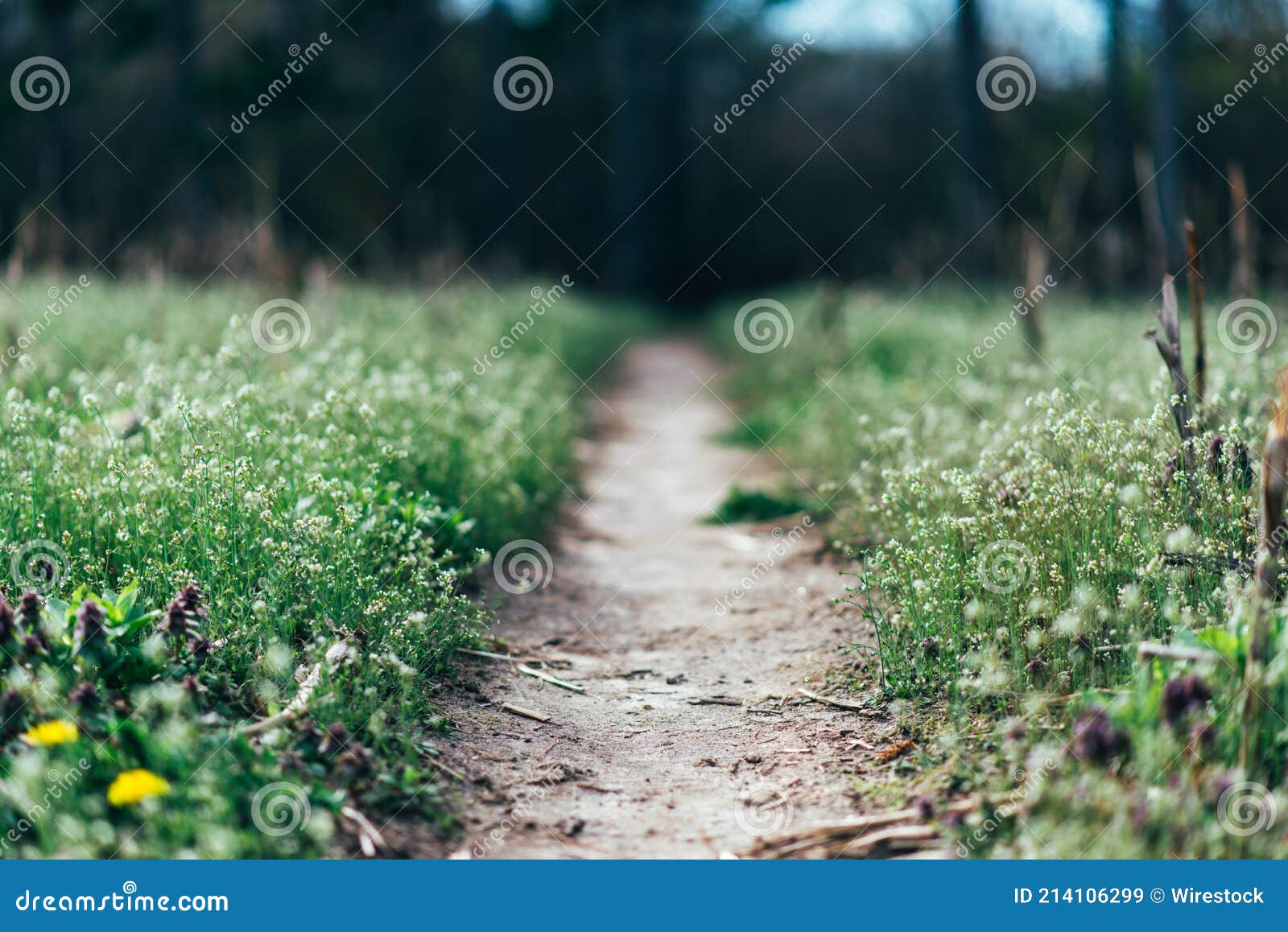 A Narrow Dirt Path Through An Arch Between The Walls Of Ancient Stone ...