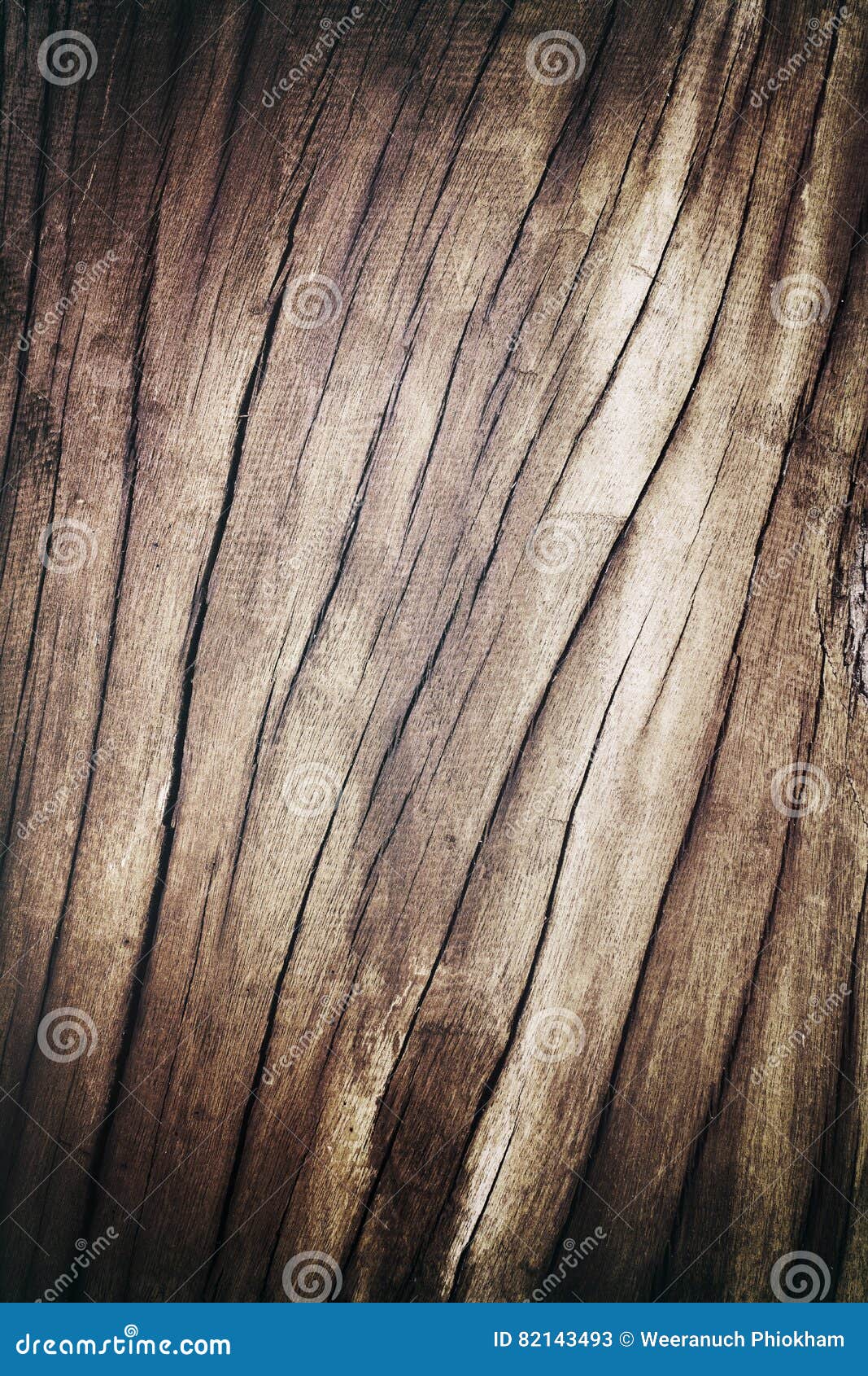 Soft Focus Retro Style Old Aged Wooden Crack Pattern Stock Photos ...