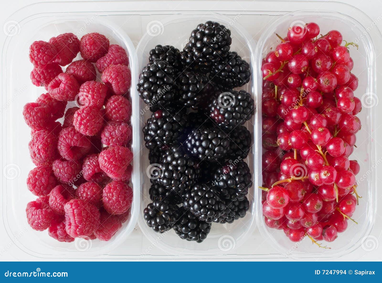 Soft fruits berry stock photo. Image of blueberry, blue - 7247994