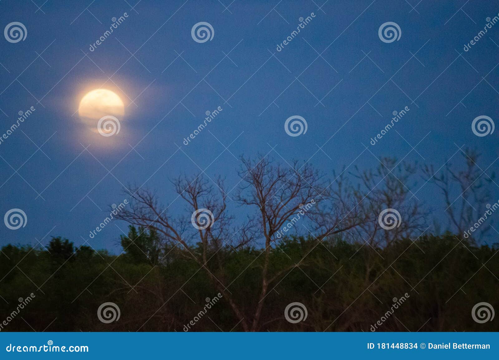 Soft Full Moon in the Evening Sky Stock Photo - Image of lunar ...
