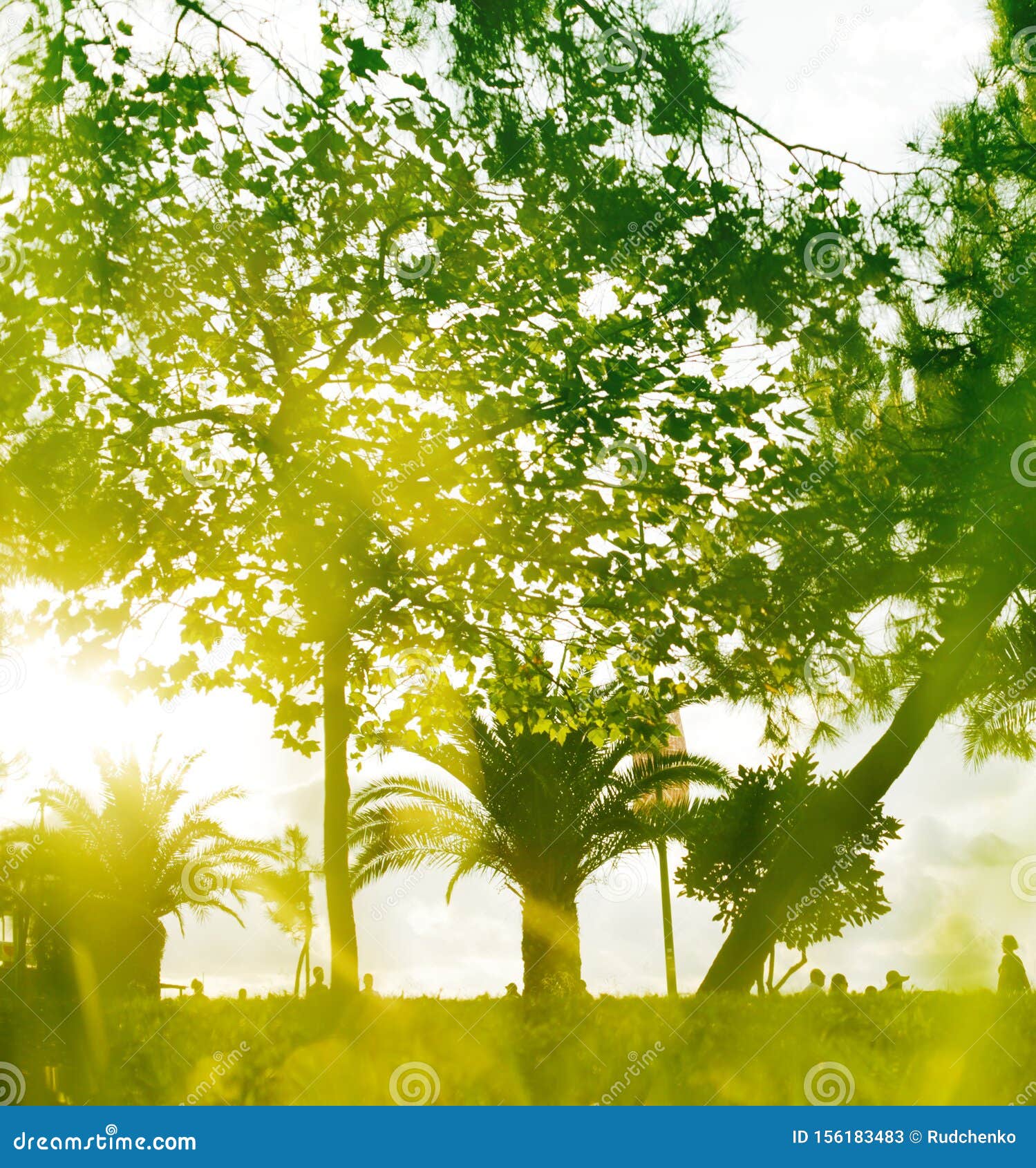 Soft Green Abstract Nature Background Stock Image - Image of sunrise ...