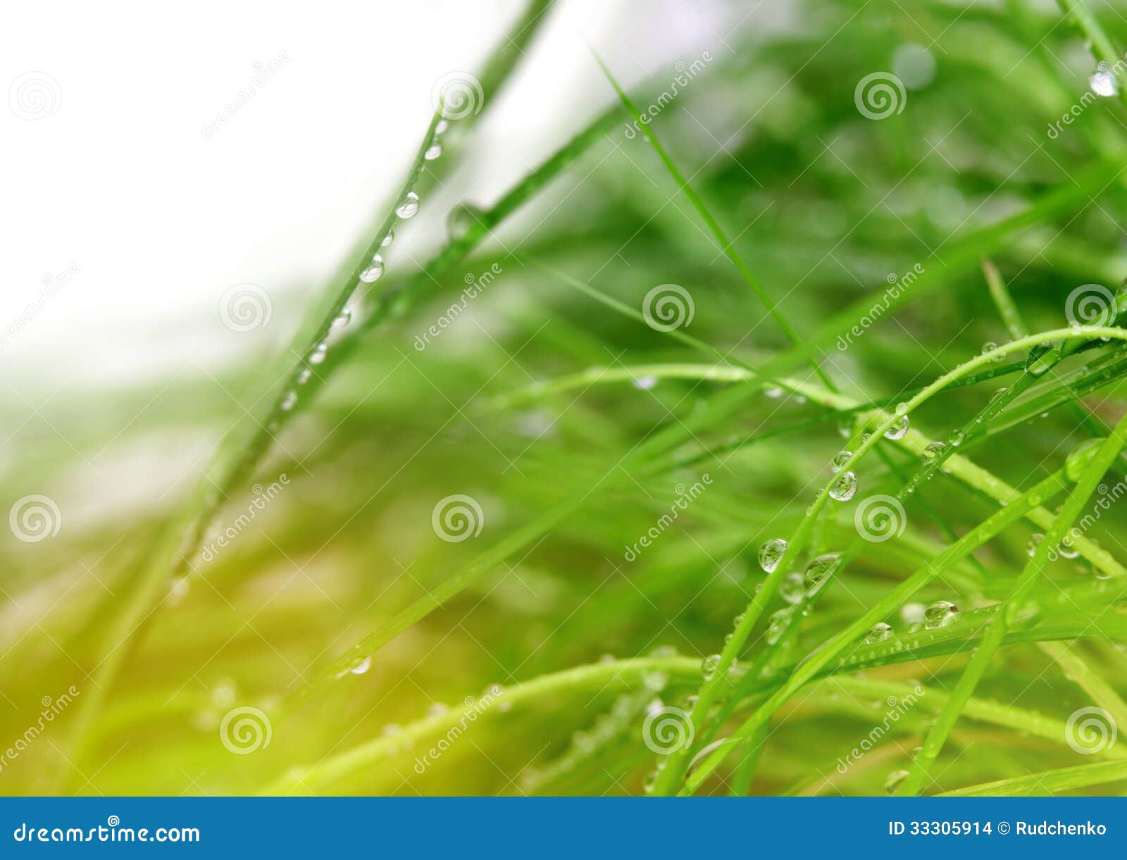 Soft Green Grass Background Stock Photo - Image of summer, soft: 33305914