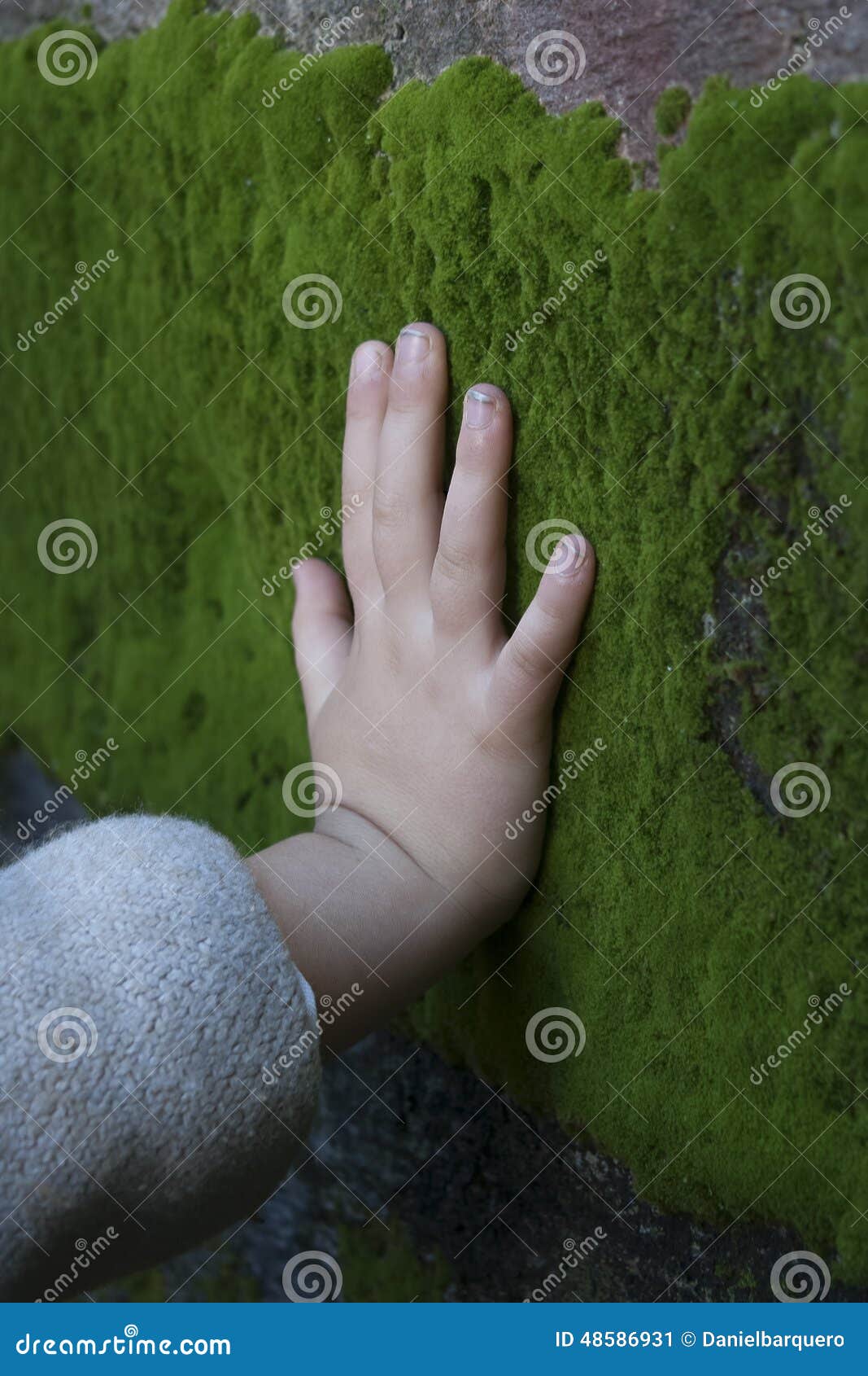 Soft Green Moss stock image. Image of finger, childrens - 48586931
