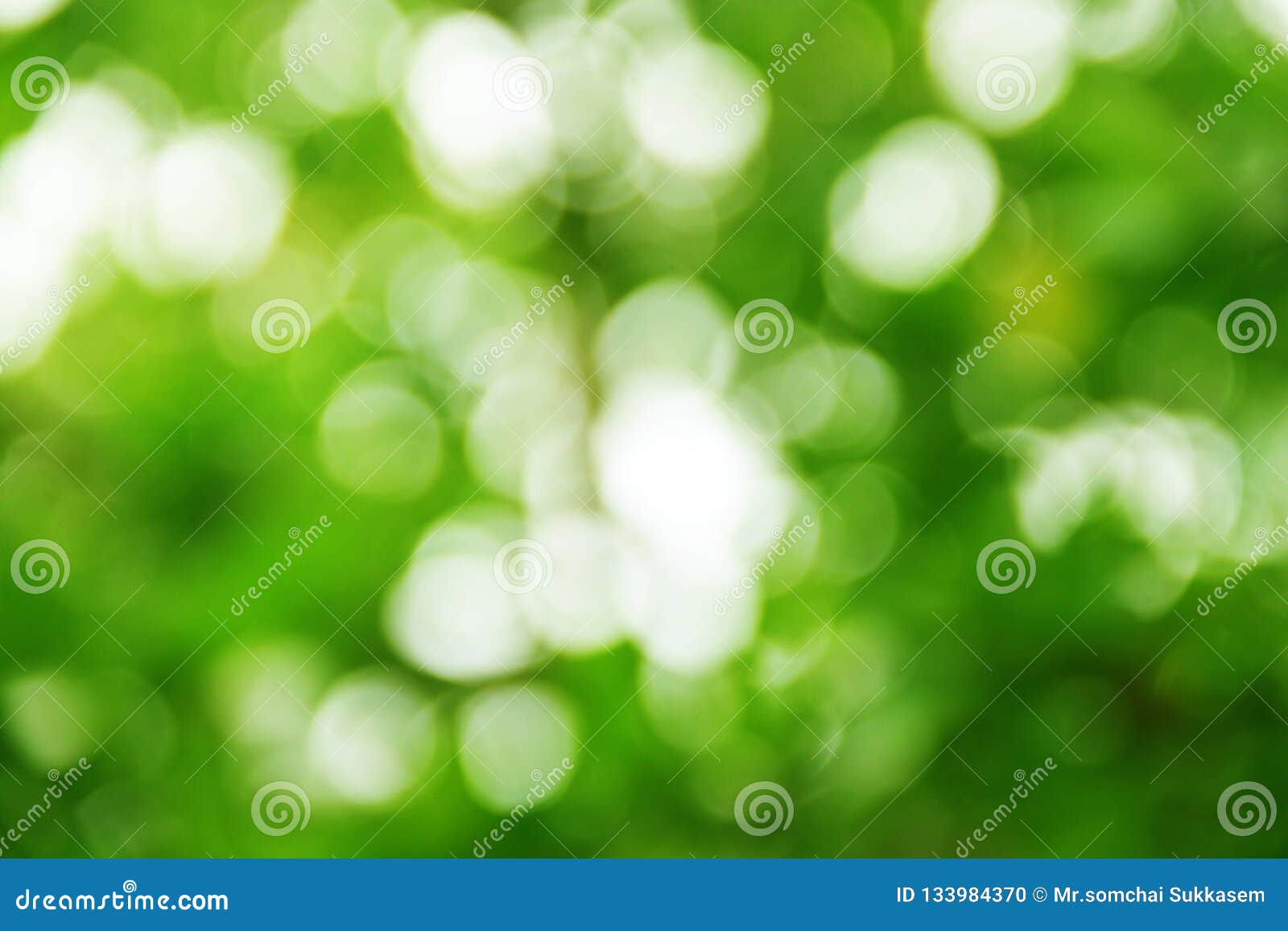 Soft Green Natural Bokeh Background Stock Photo - Image of garden ... Soft Green Natural Bokeh Background Stock Photo - Image of garden ...
