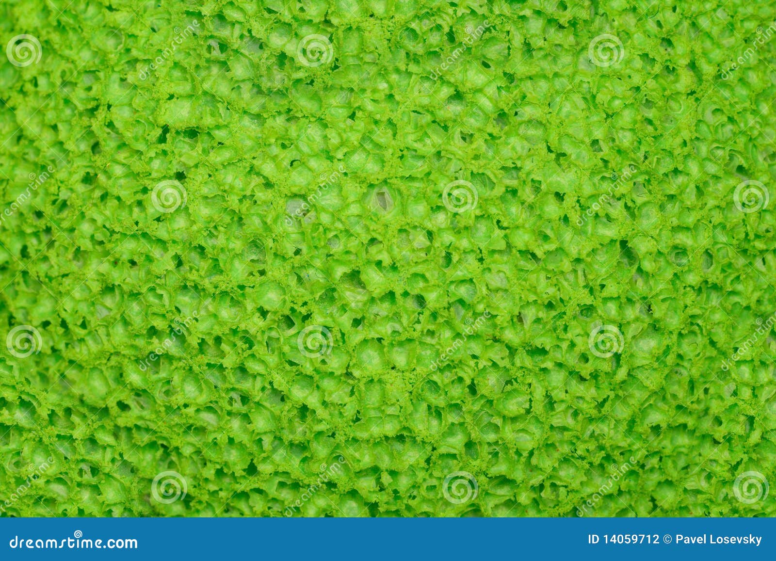 Soft Green Porous Texture, Surface. Stock Photo - Image of pattern ...