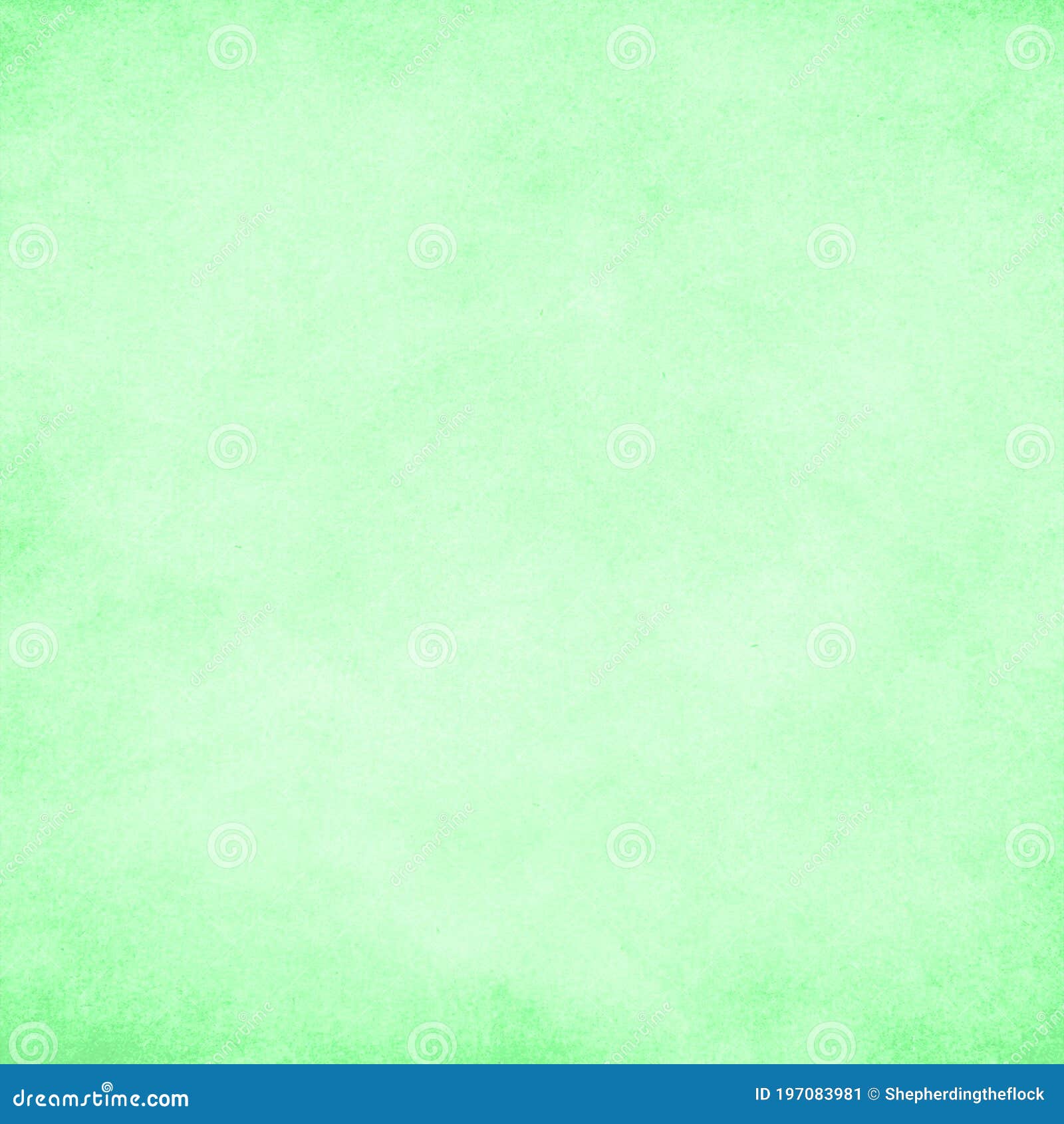 Bamboo Leaf Green Color Pictures And Images - RGB Color Hex Code [# ...