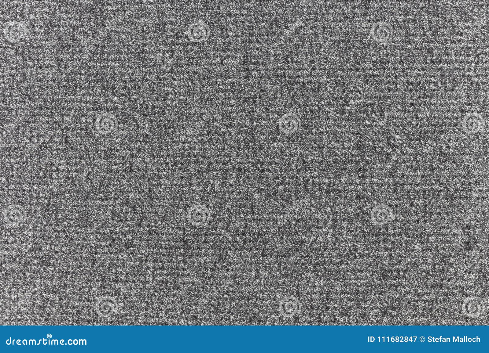 Soft Grey Palm Tree Skin Or Bark Ideal For Vertical Faded Background ...