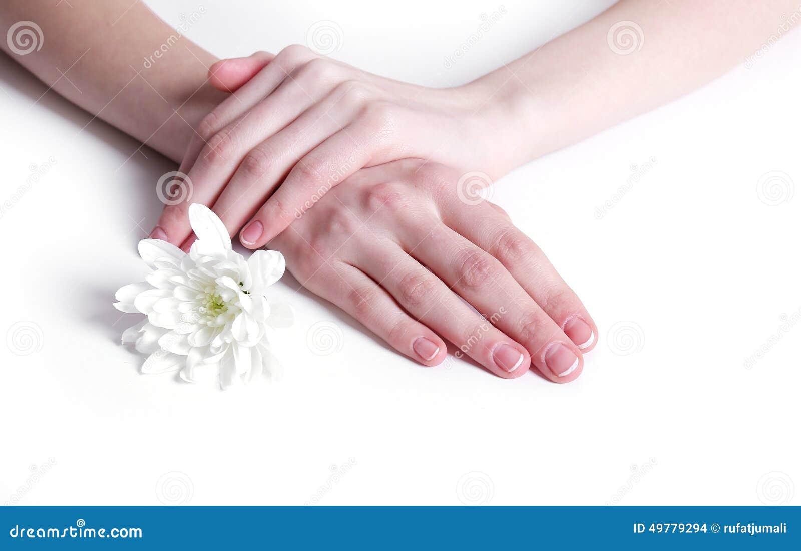 Soft hands stock photo. Image of clean, female, healthy - 49779294