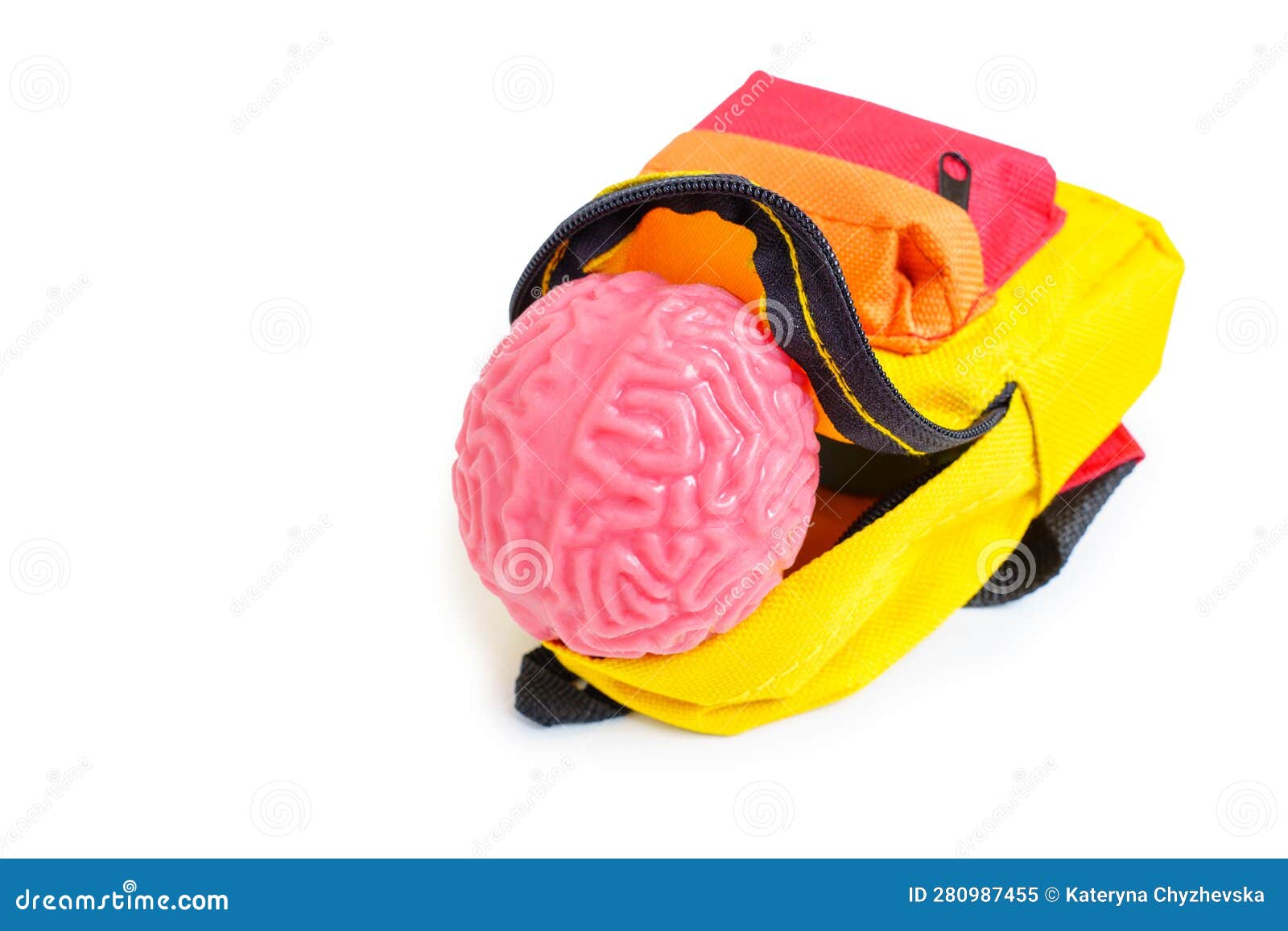 Soft Human Brain Model in a Vibrant Backpack Stock Image - Image of ...