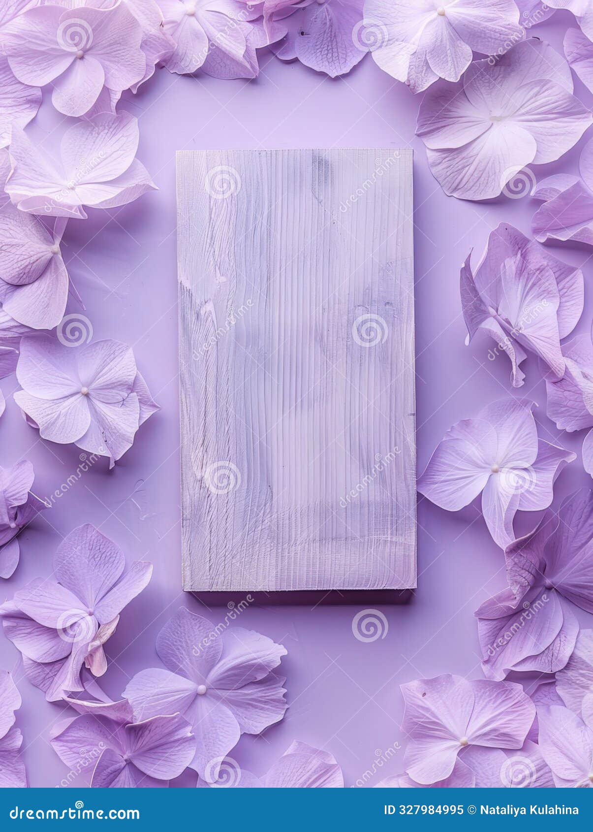 Soft Lavender Hydrangea Petals Framing a Textured Rectangular Lavender ...