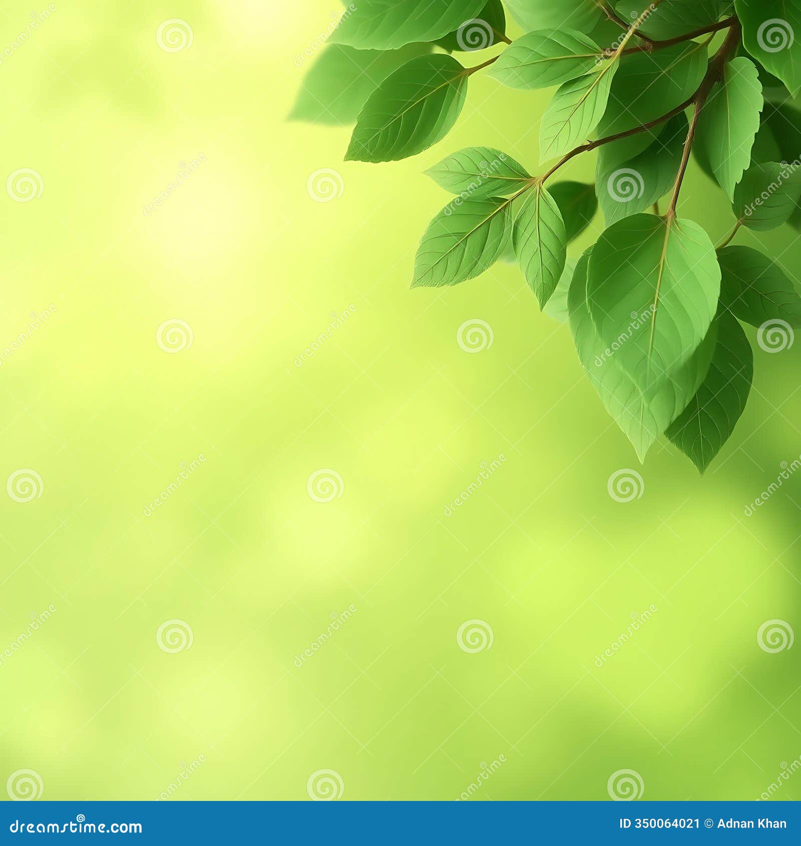 A Soft, Light Green Background with Subtle Leaf Patterns and Gentle ...