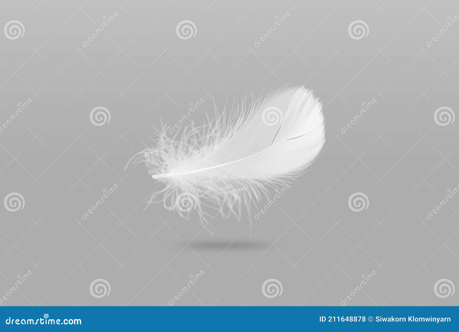 Soft and Light Single White Feather Falling Down in the Air. Stock ...