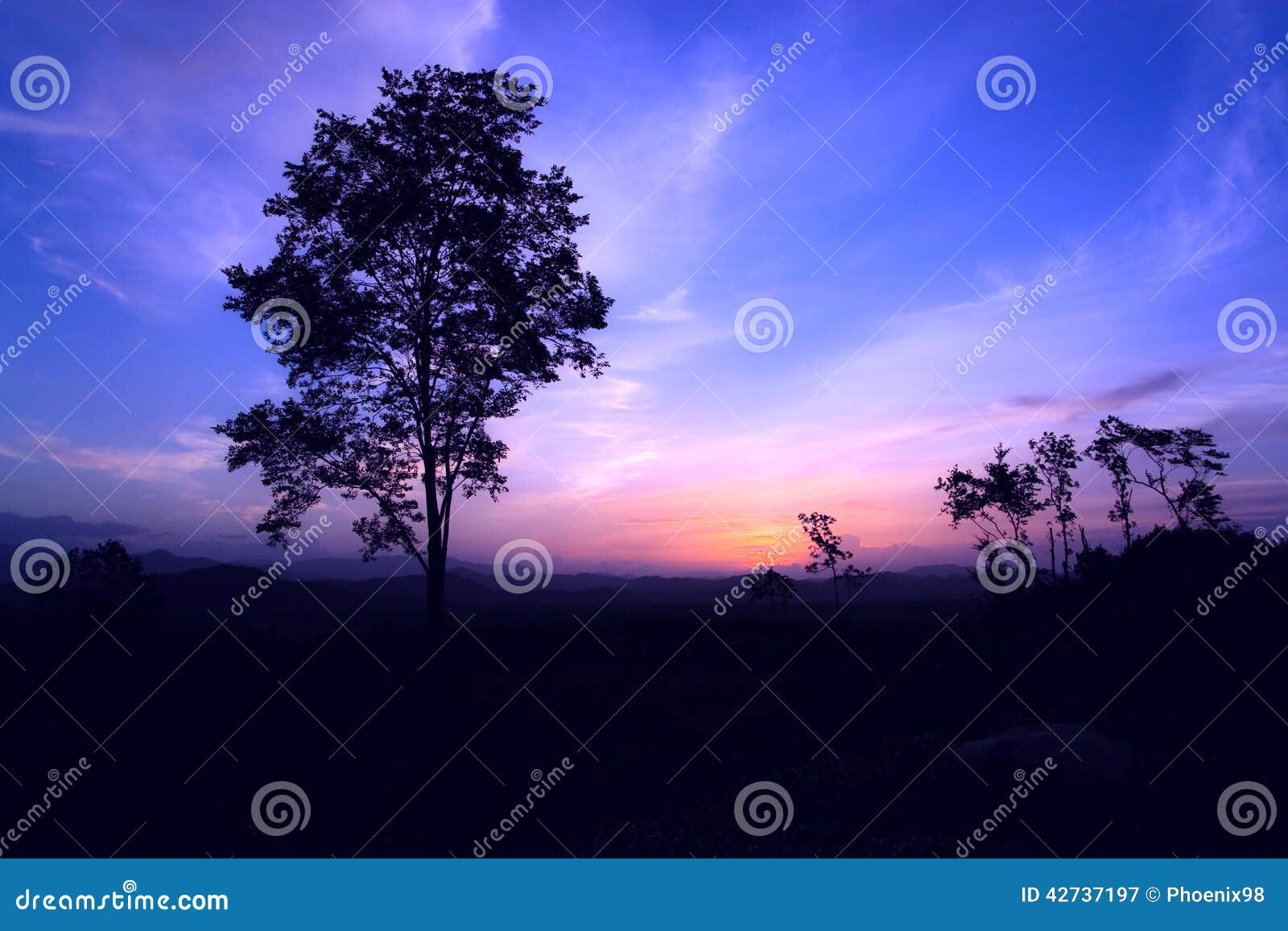 The soft light sunset stock image. Image of golden, abstract - 42737197