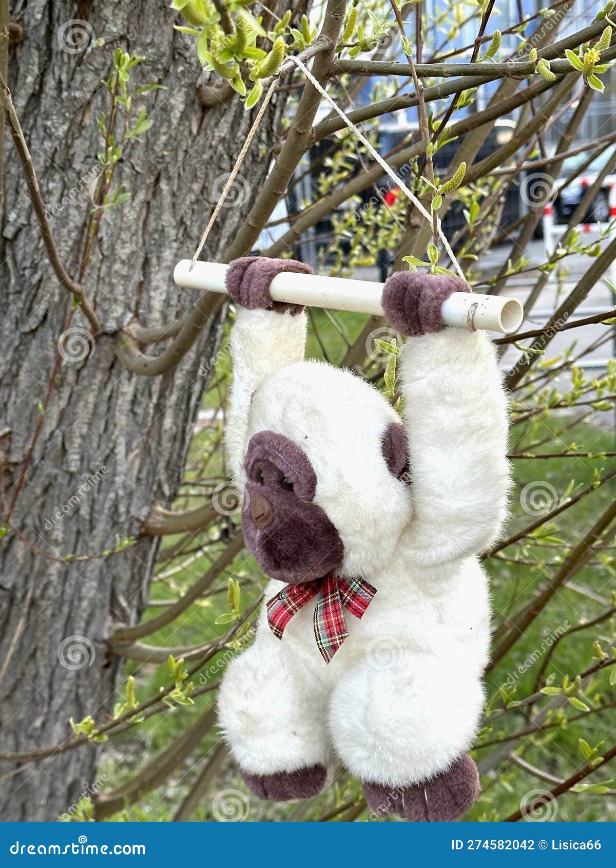 Tree Knot Stock Photo | CartoonDealer.com #49534308