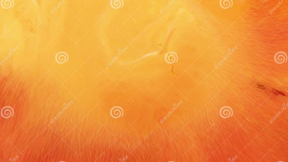 Soft Orange Colors, Abstract Composition. Acrylic Texture with Marble ...