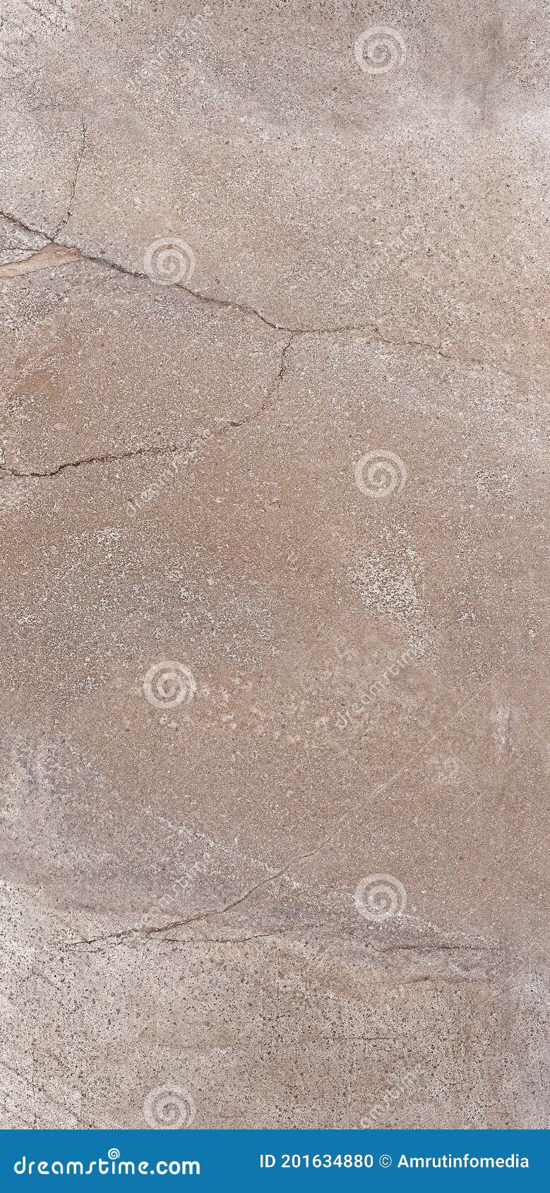 Orch Color Stock Photos - Free & Royalty-Free Stock Photos from Dreamstime