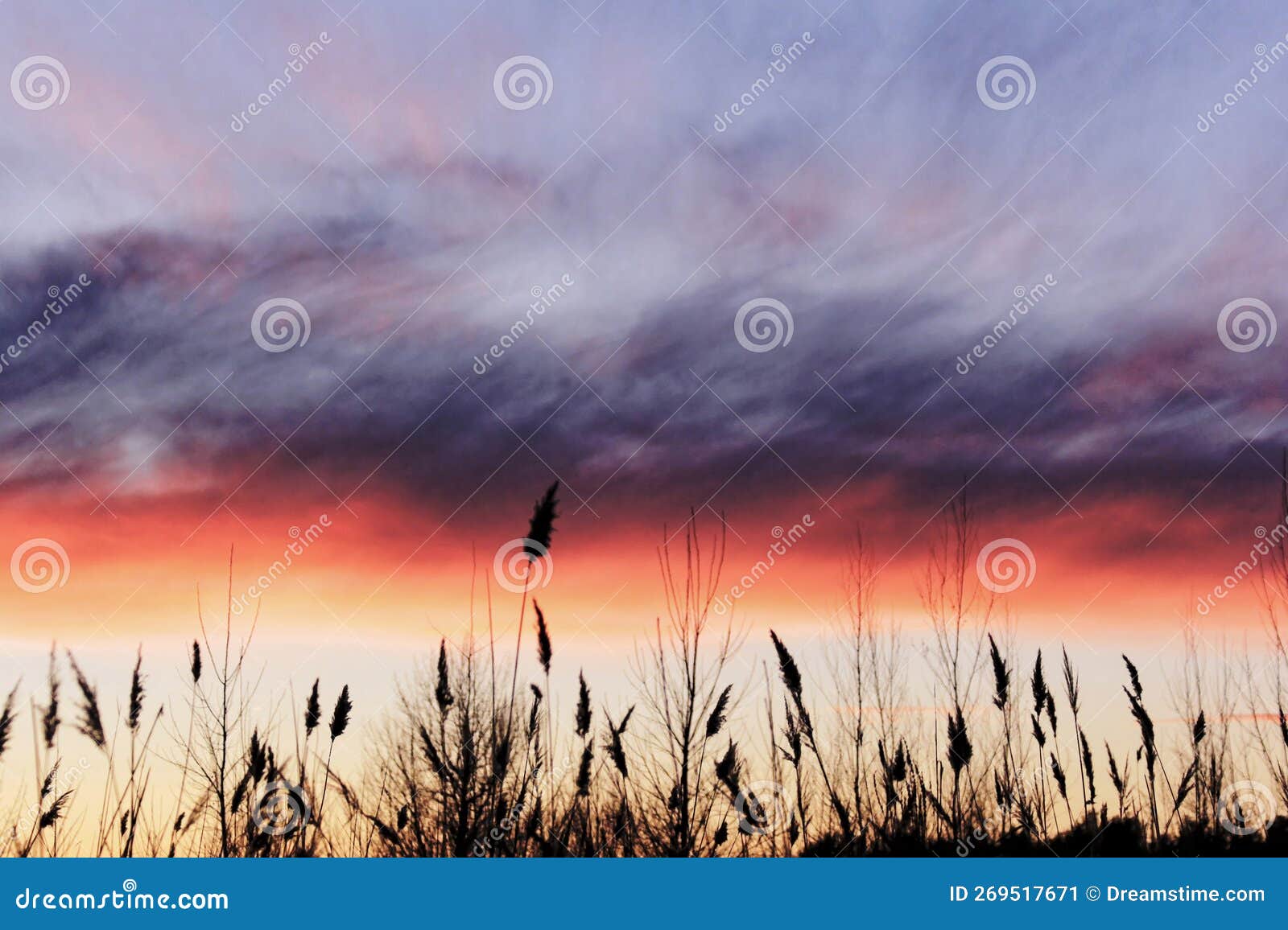 Soft Pastel Clouds and Grass Meadow Stock Image - Image of soft, pastel ...