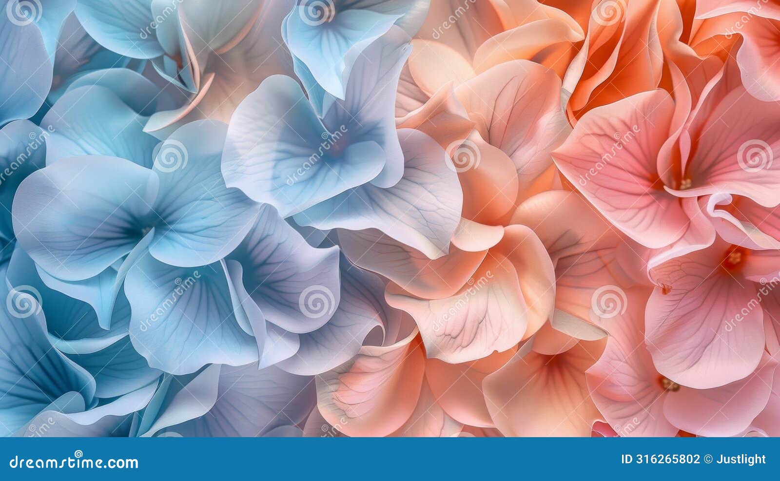 Soft Pastelhued Flower Petals Forming a Unique Cursive Font. Stock ...