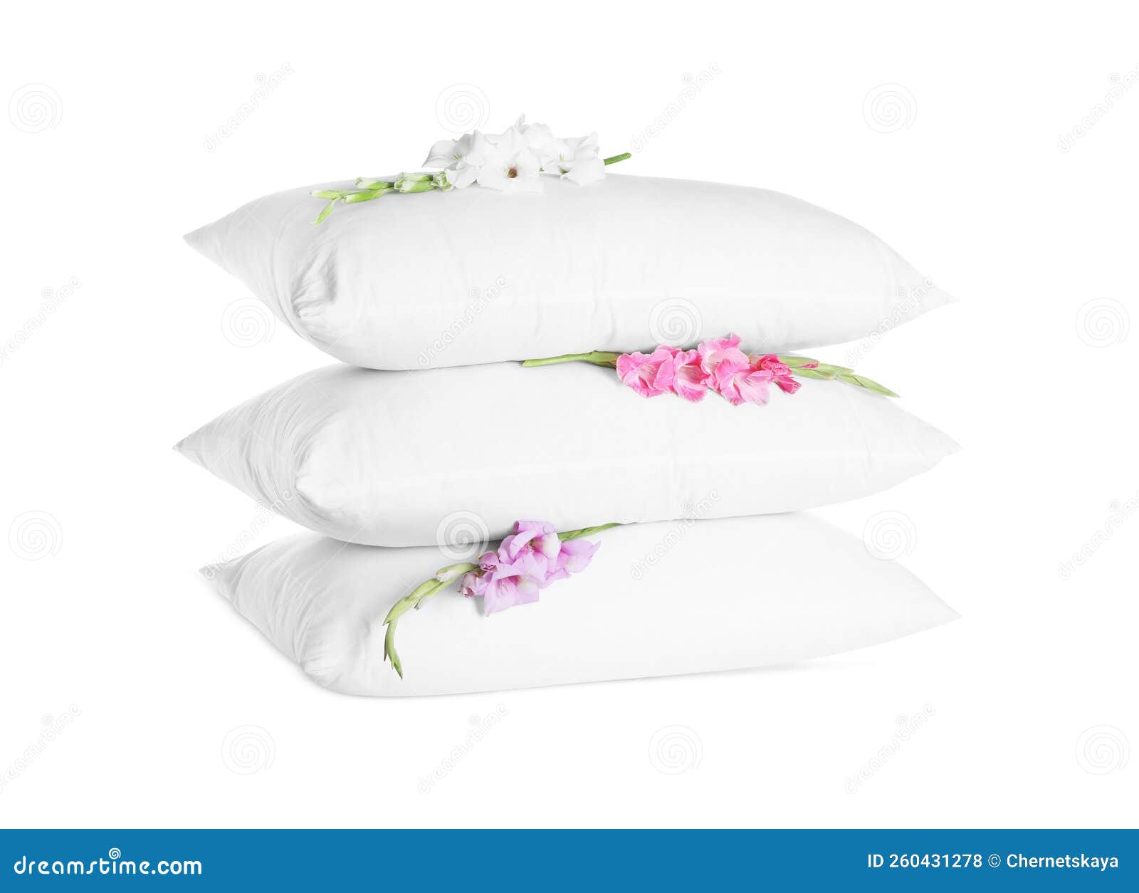 Soft Pillows with Beautiful Flowers on White Background Stock Photo ...