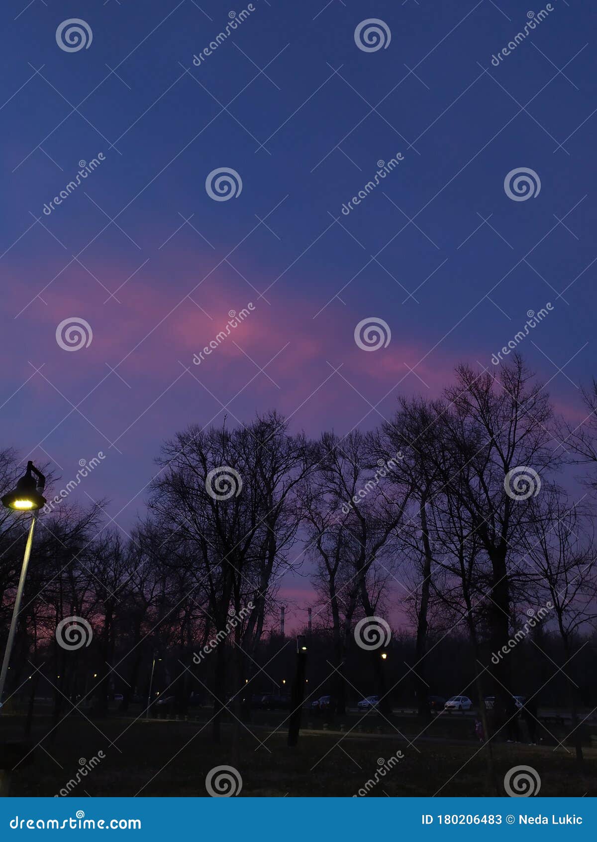 Soft pink cloud with trees stock image. Image of blue - 180206483