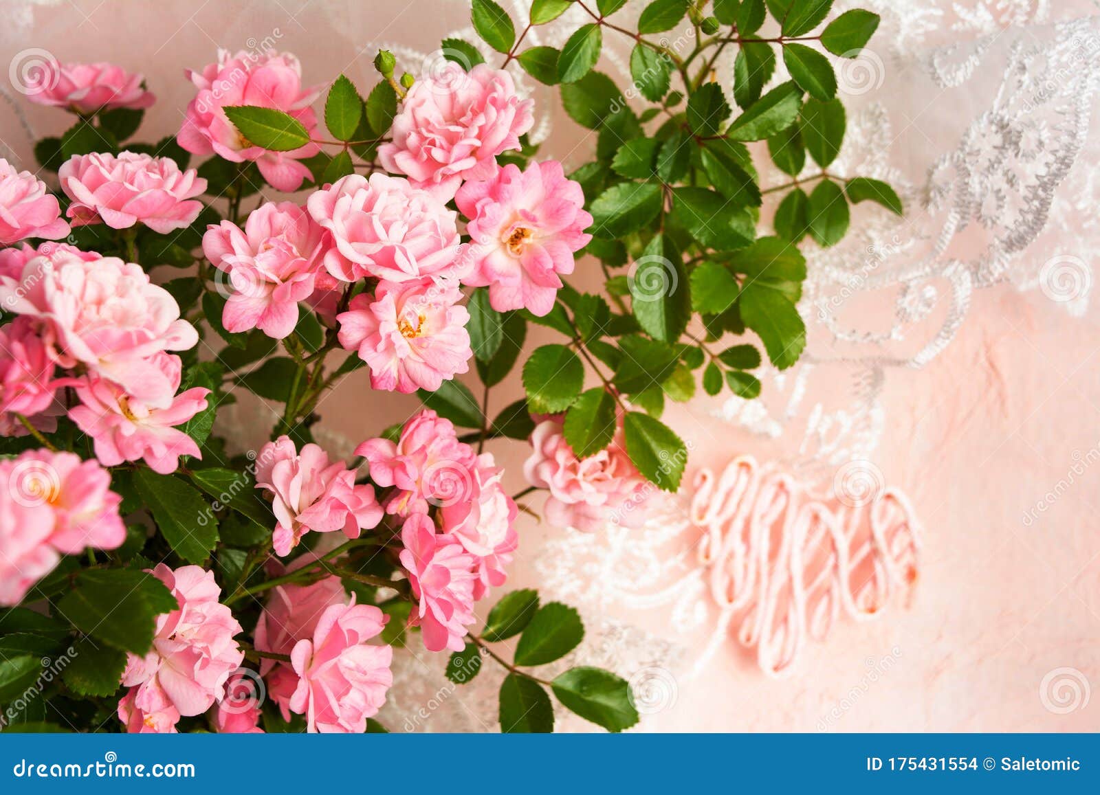 Soft Pink Color Roses Background Stock Photo - Image of background ...