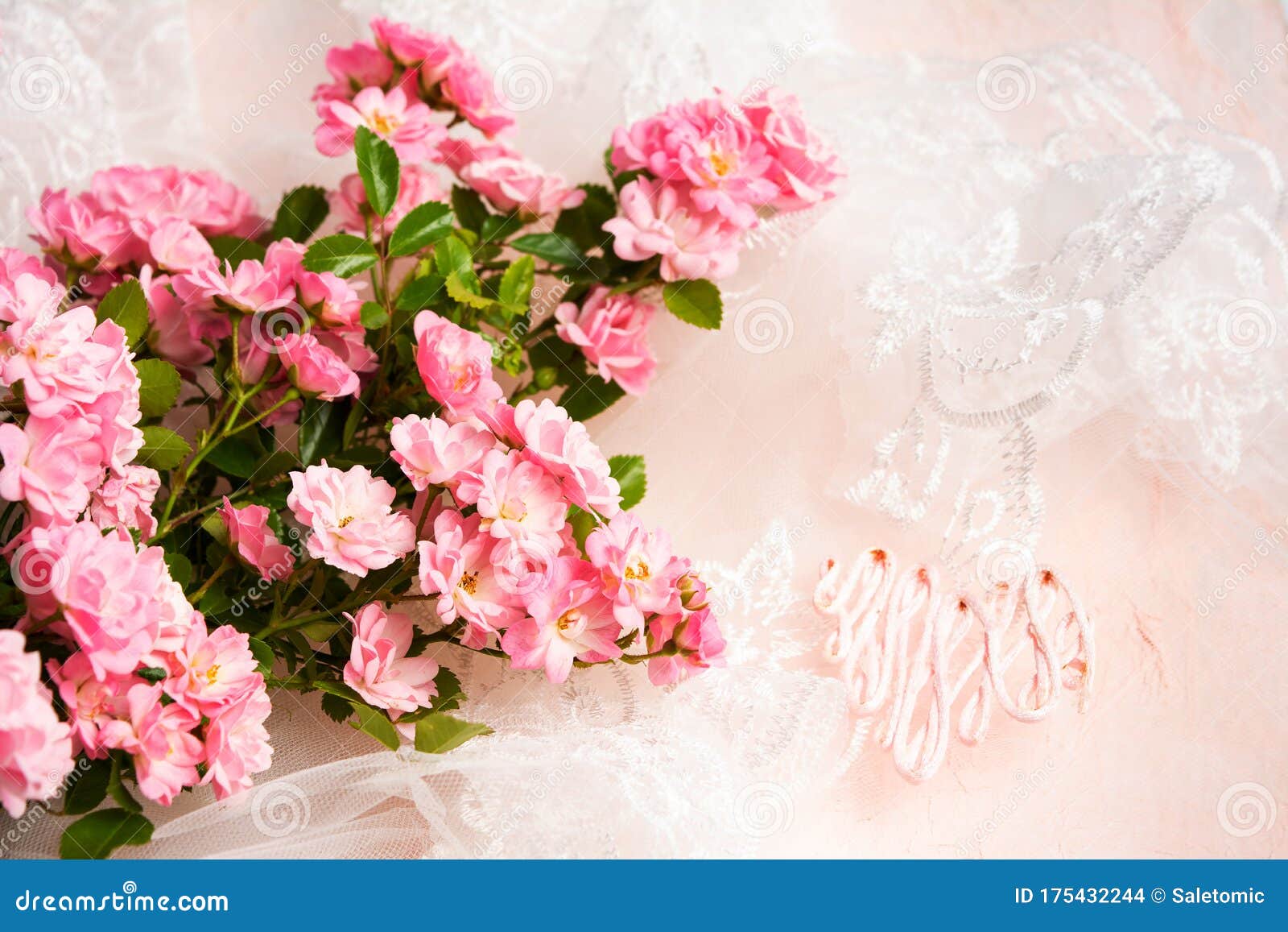 Soft Pink Color Roses Background Stock Photo - Image of floral, holiday ...