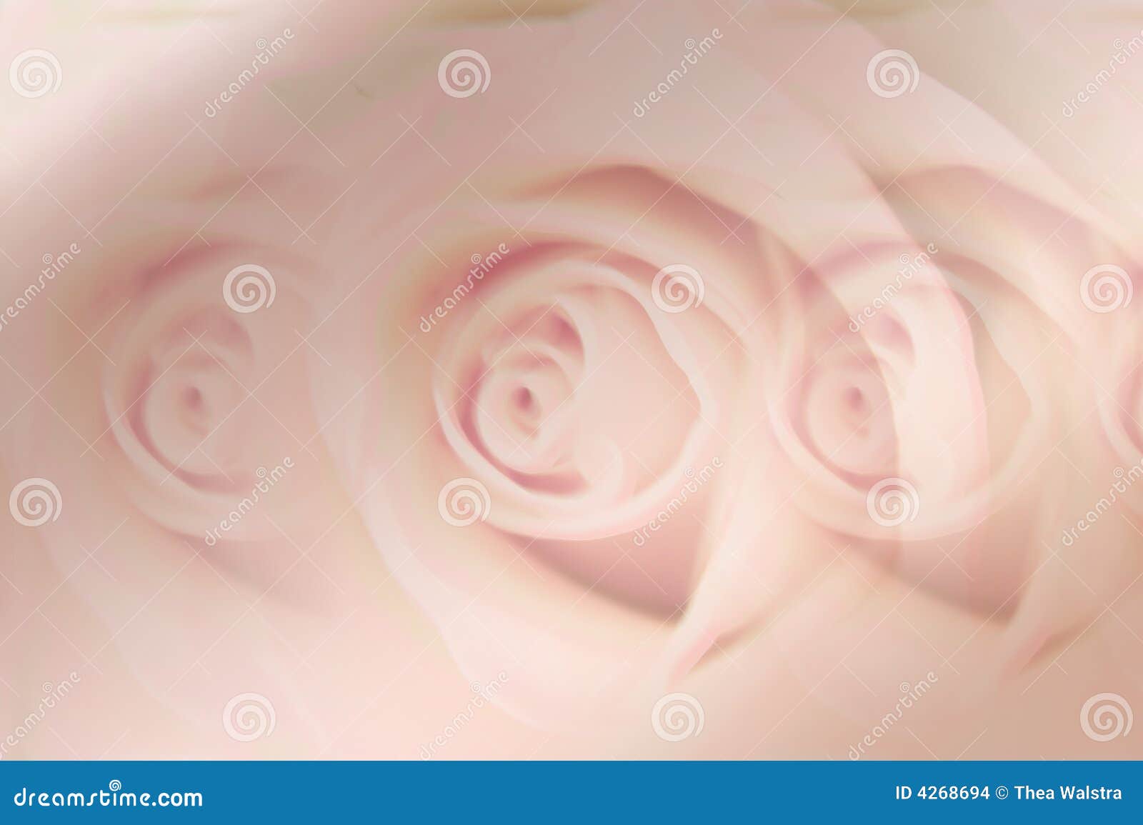 Soft Pink Rose Background / Design Stock Illustration - Illustration of ...