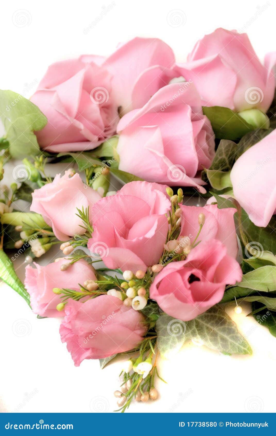 Soft Pink Roses stock photo. Image of flowers, pink, romantic - 17738580