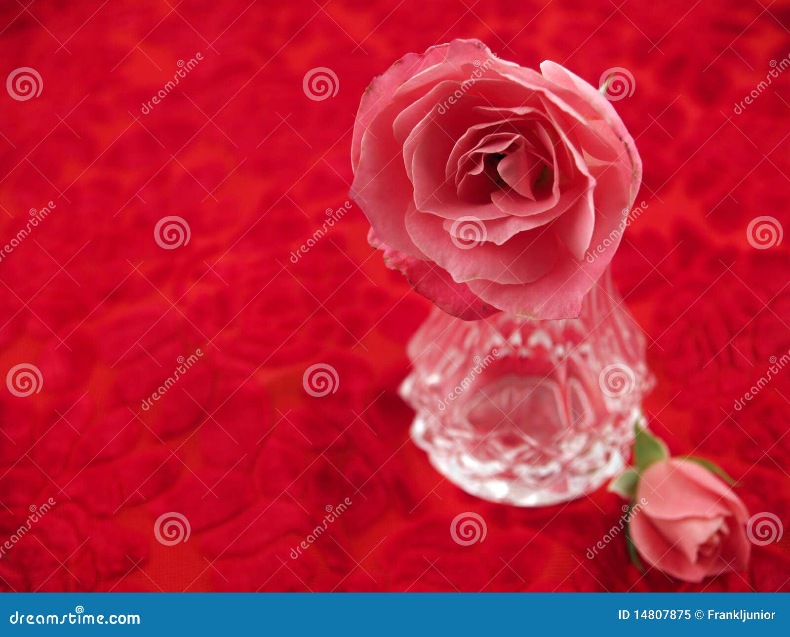 Soft Pink Roses Arranged in a Romantic Scene Stock Image - Image of ...