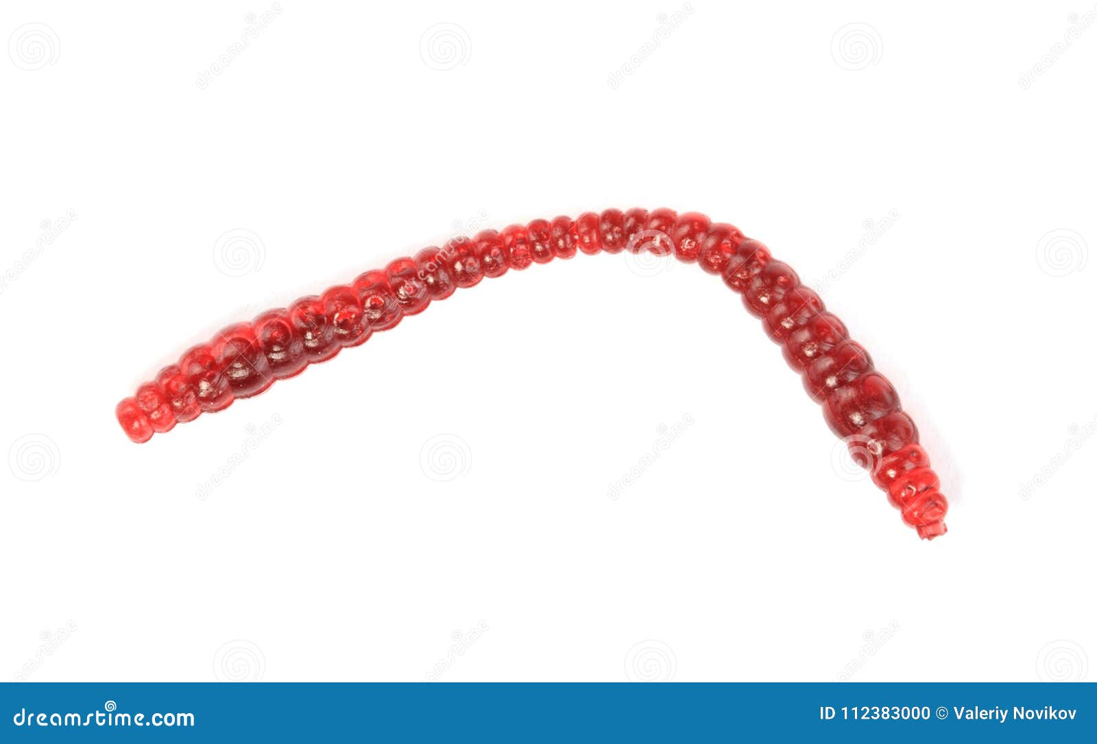 Soft Plastic EarthWorm toy stock photo. Image of bait - 112383000