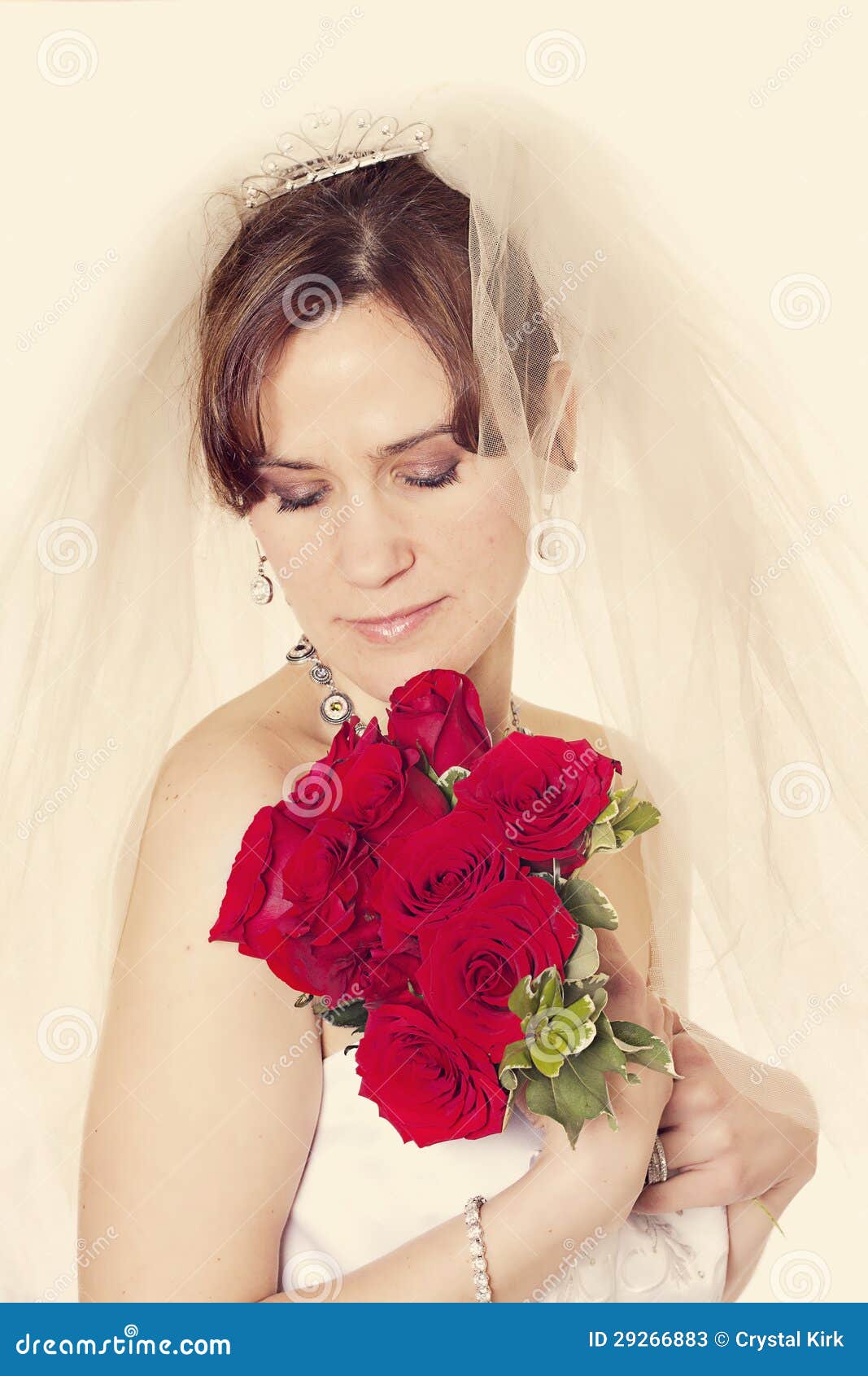 Soft and pretty stock image. Image of beautiful, portrait - 29266883